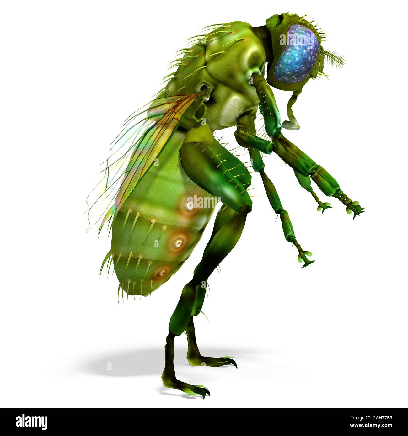 3d-illustration of an isolated huge and scary yellow fly Stock Photo ...