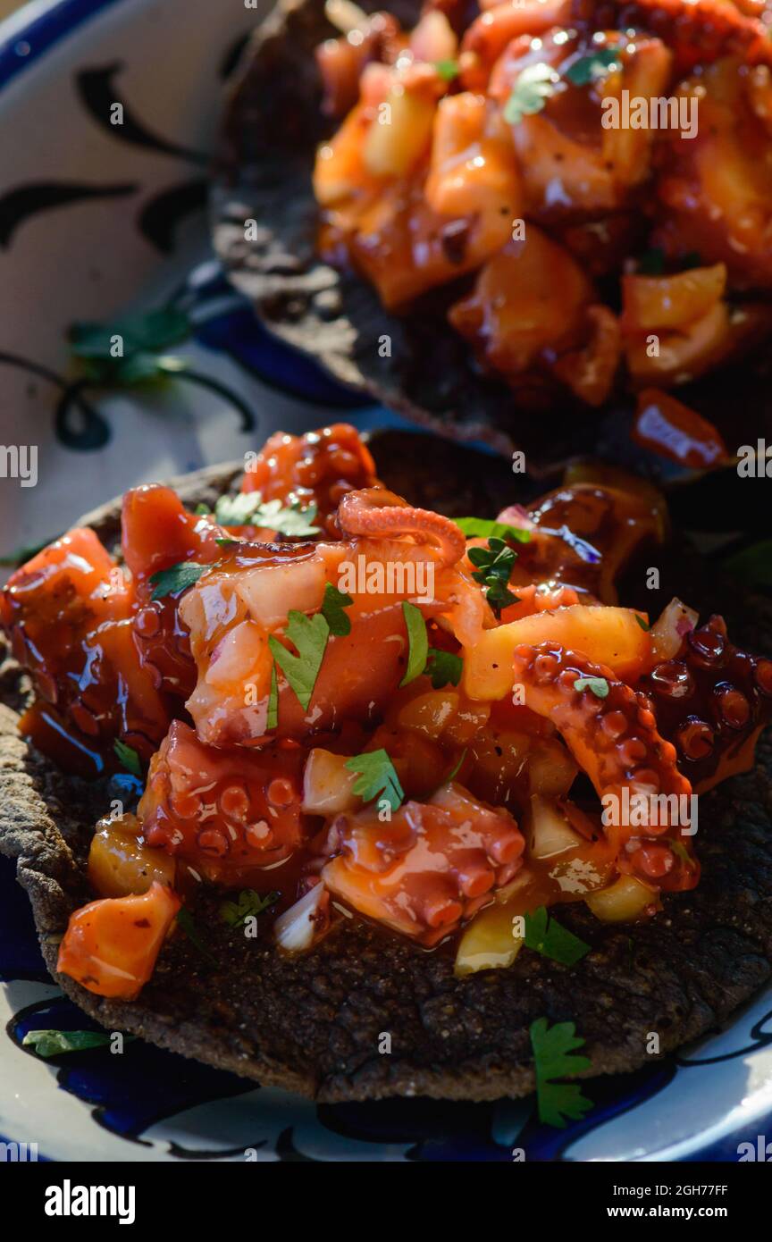 Red octopus ceviche on blue corn tostadas, Mexican seafood dish from ...