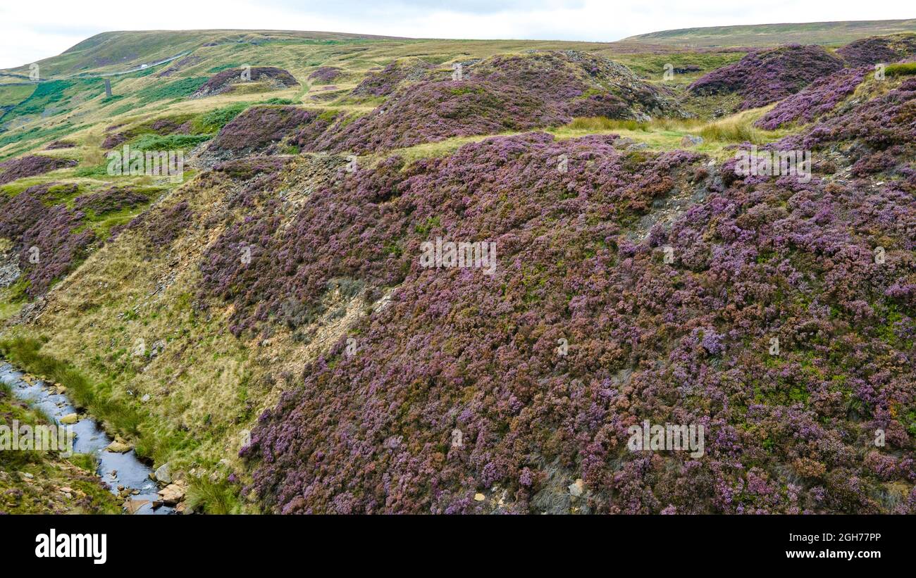 Unfarmed land hi-res stock photography and images - Alamy