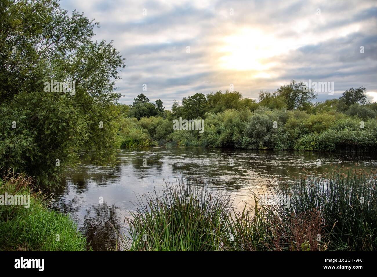 Covered in vegetation hi-res stock photography and images - Alamy
