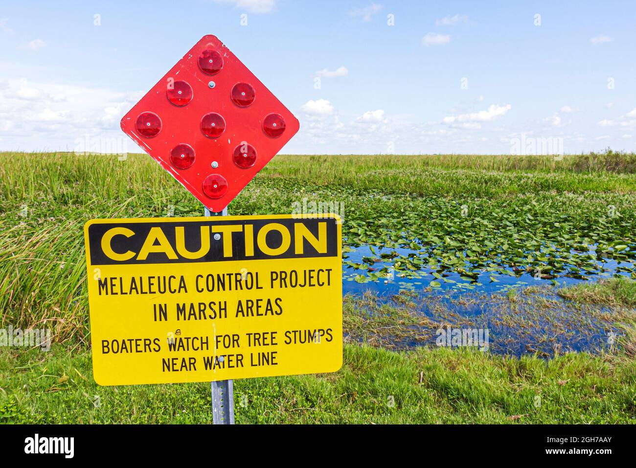 Freshwater marsh ecosystem invasive species sign melaleuca control ...