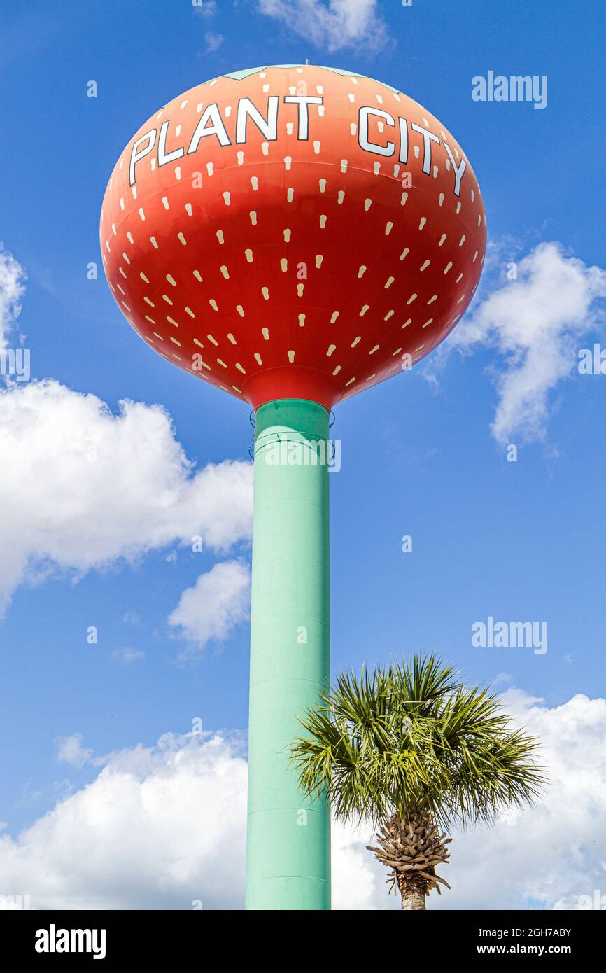 Florida Plant City water tower strawberry painted Stock Photo - Alamy