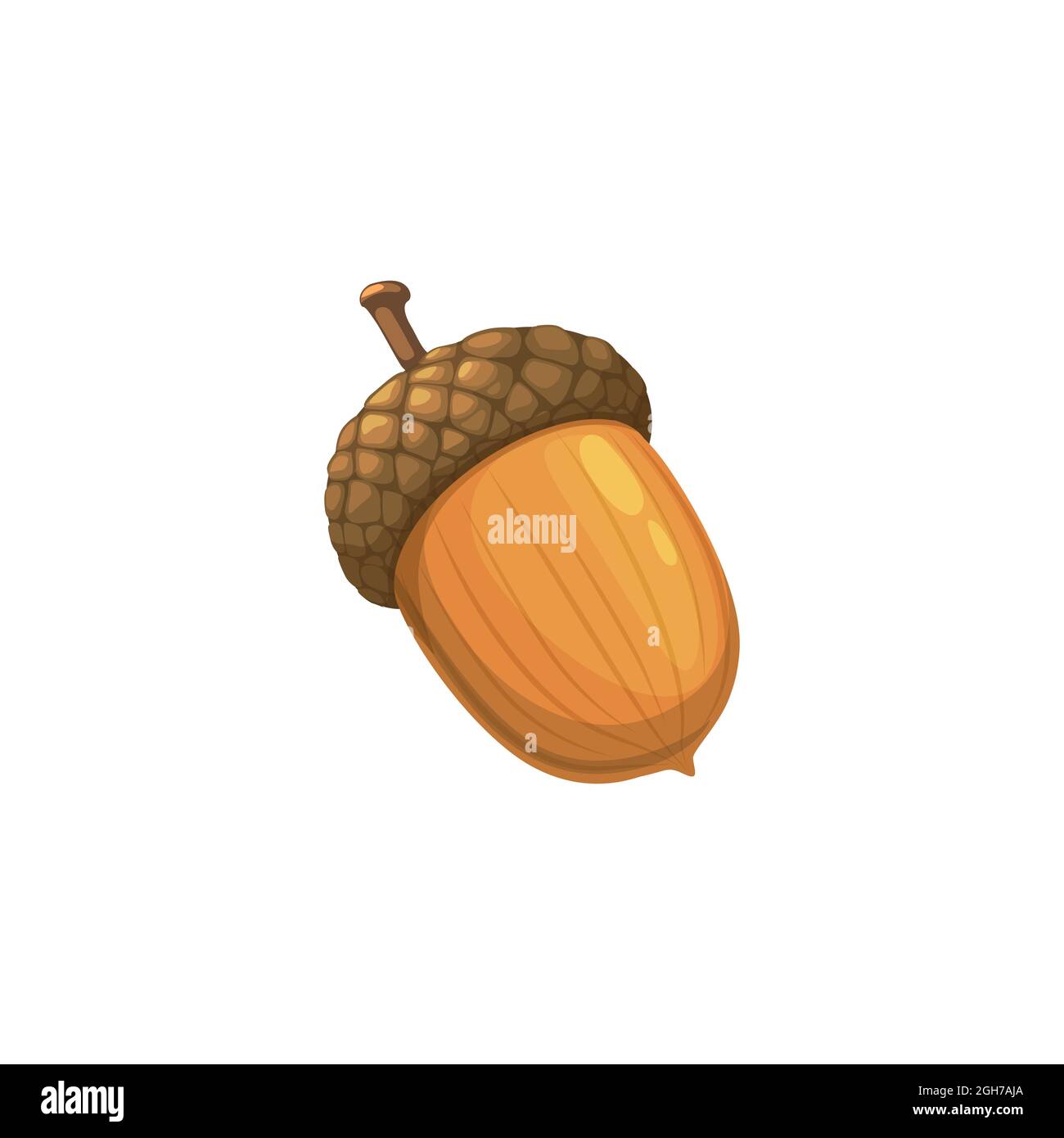 Acorn of oak tree icon, autumn fall nuts, vector isolated symbol ...