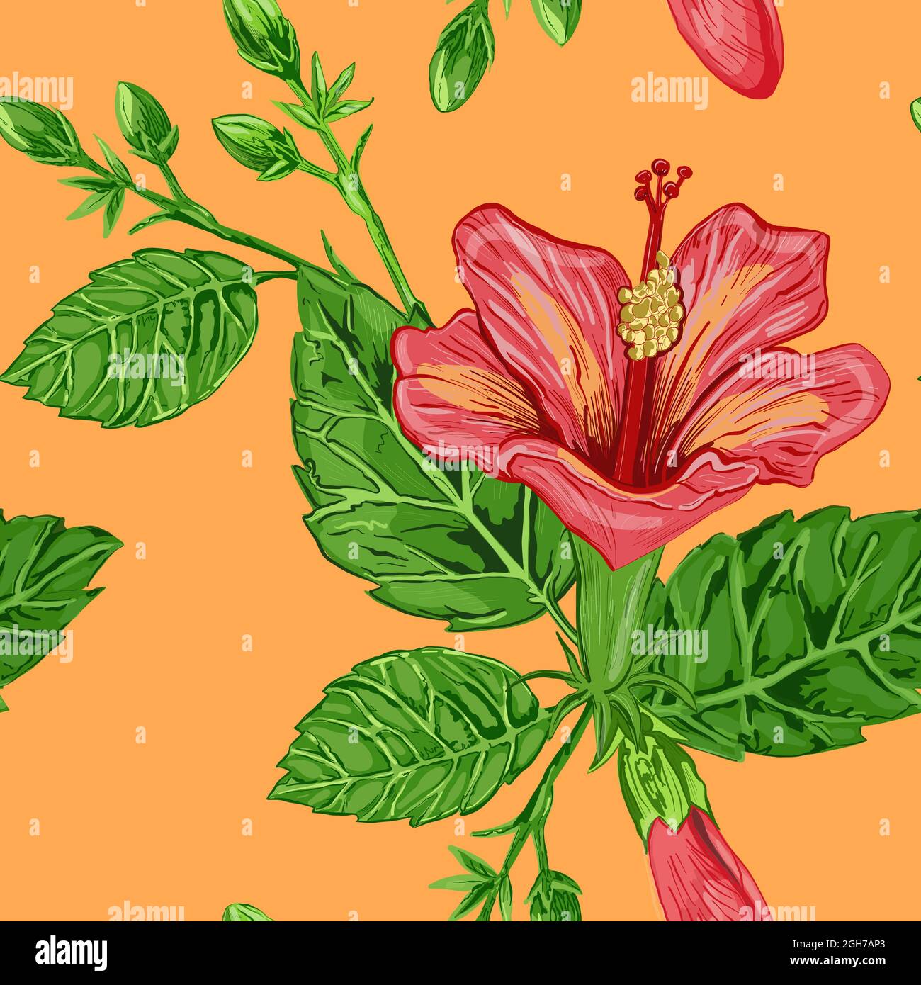 illustration of a seamless pattern of hibiscus plants flowers and ...