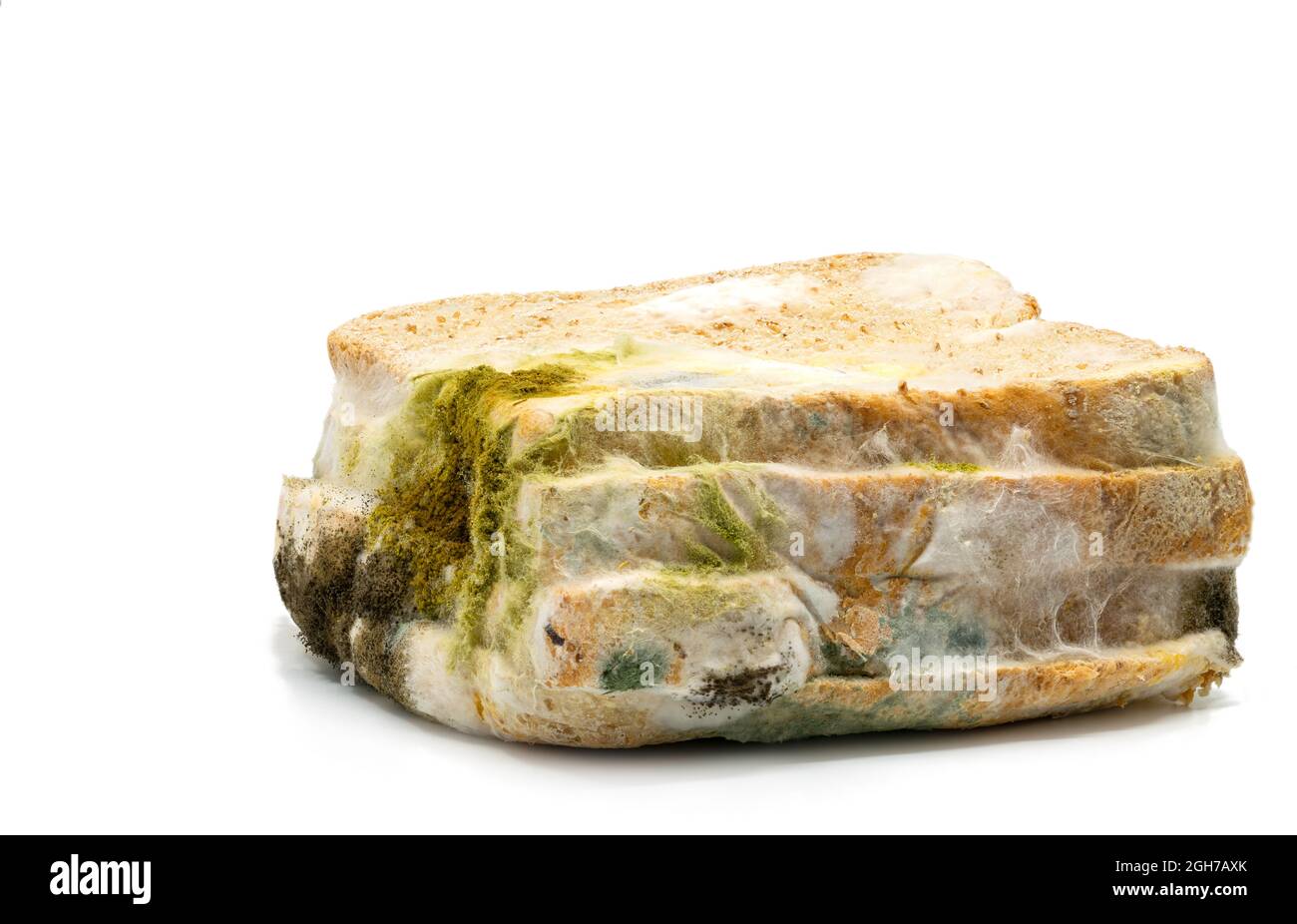 Mold moldy mold hi-res stock photography and images - Alamy