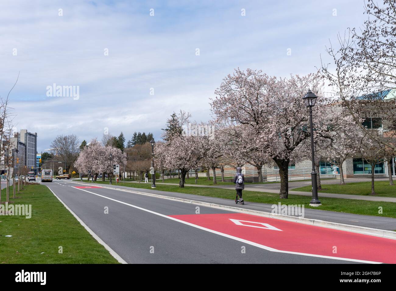 Spring blossom 2021 hi-res stock photography and images - Alamy