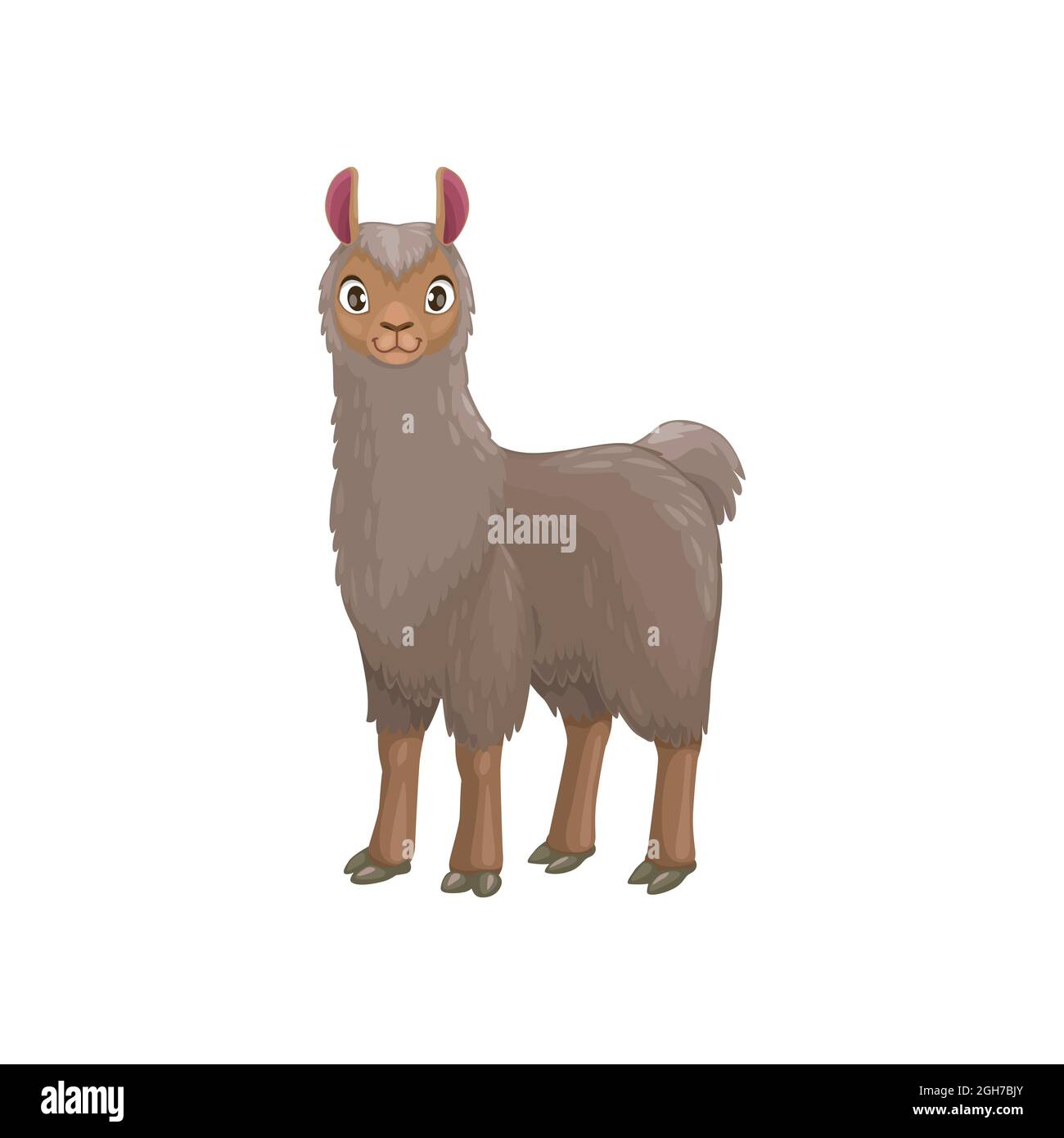 Llama animal portrait with furry grey body isolated cartoon animal ... Llama animal portrait with furry grey body isolated cartoon animal ...