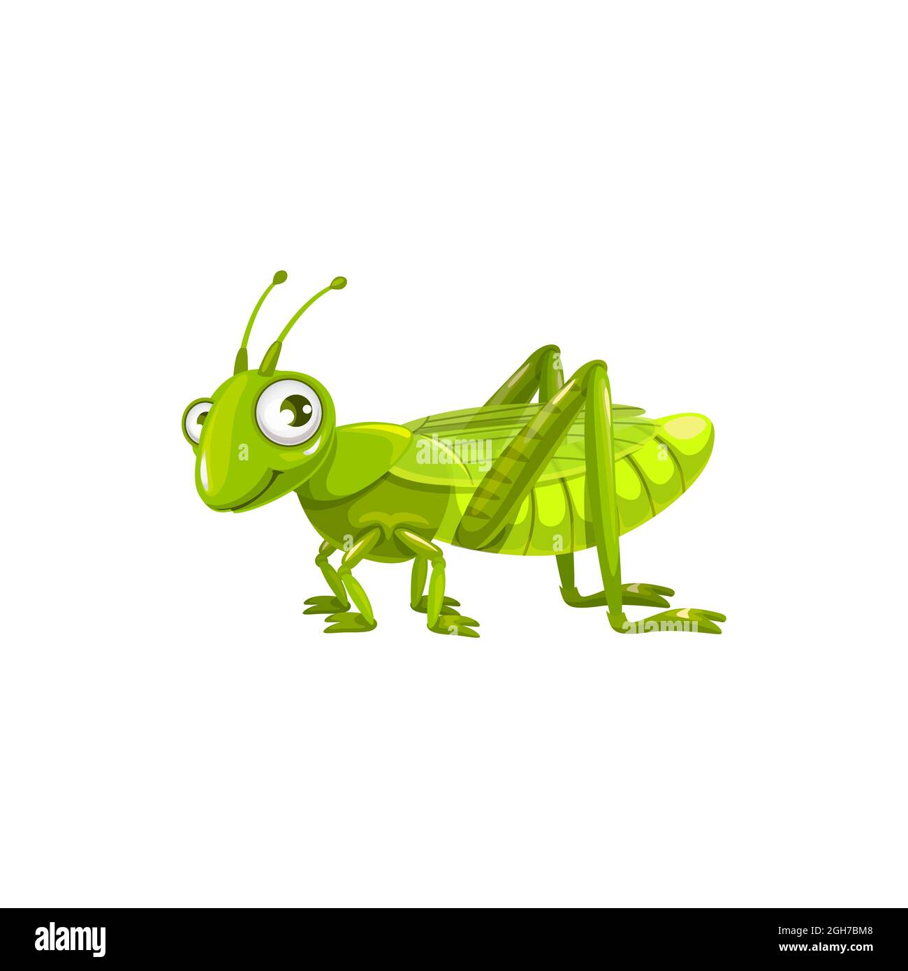 Funny Cricket Insect Cartoons