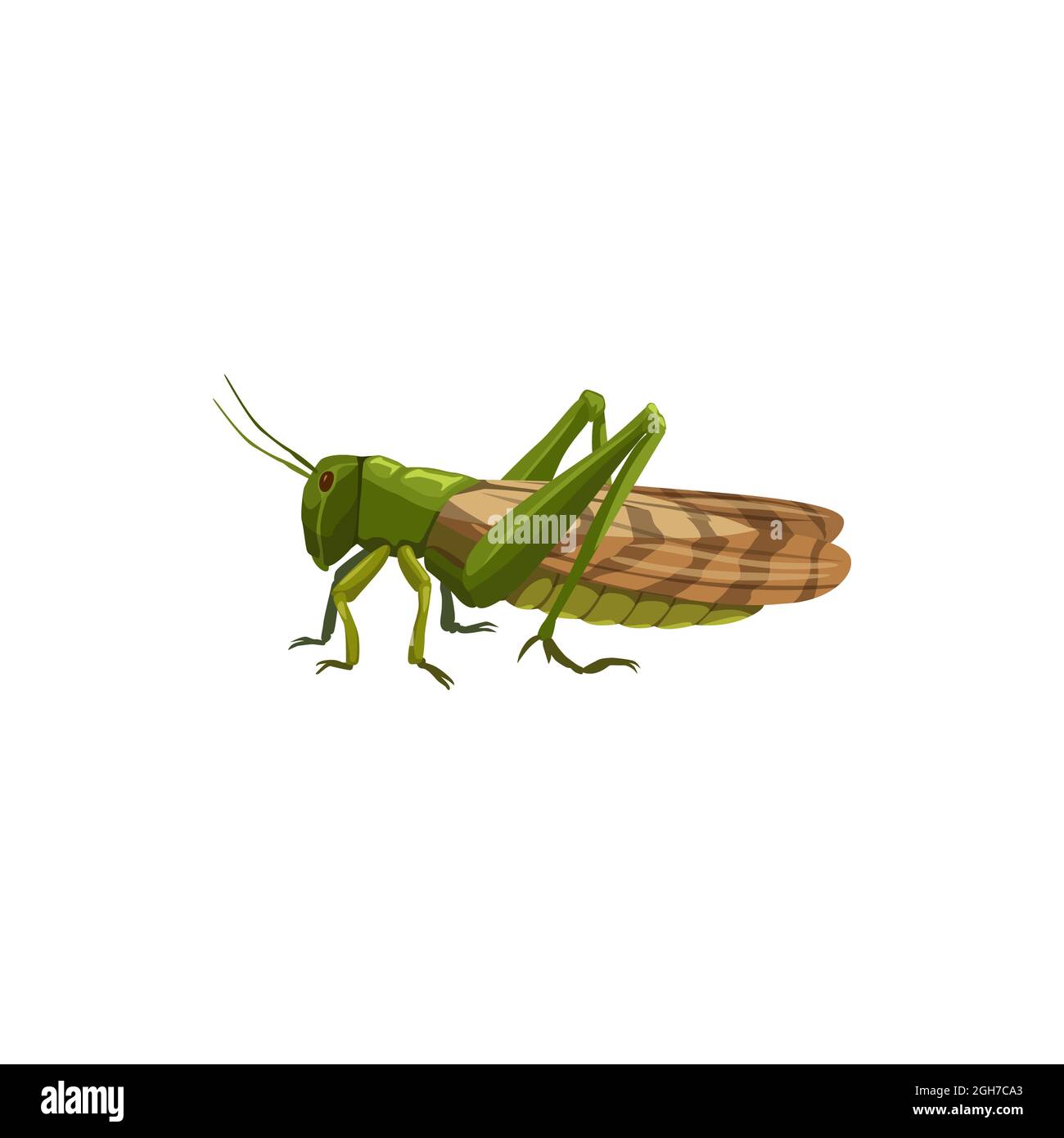 Agriuclture Stock Vector Images - Alamy