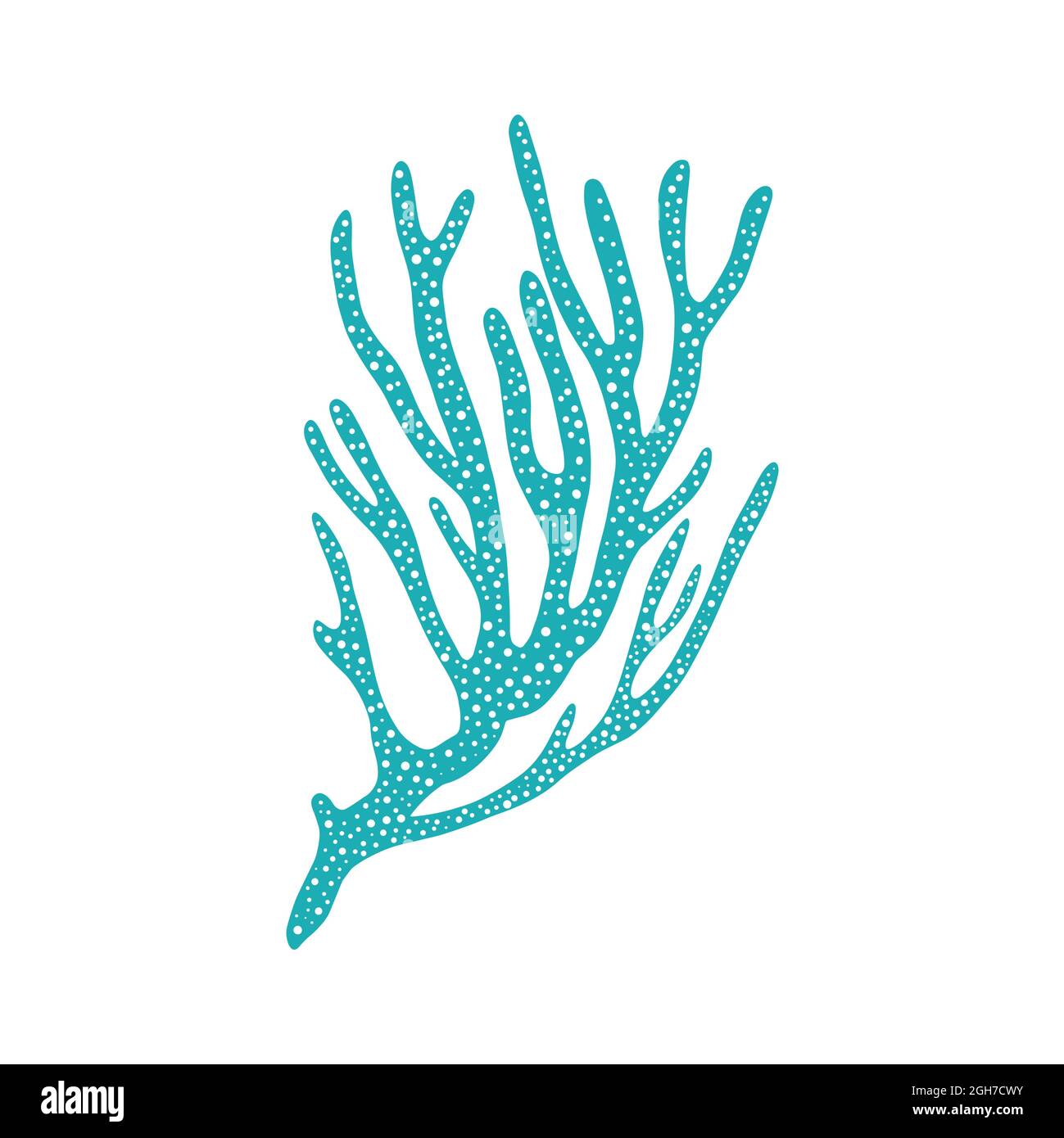 Mushroom coral with sharp edges isolated underwater plant branch ...