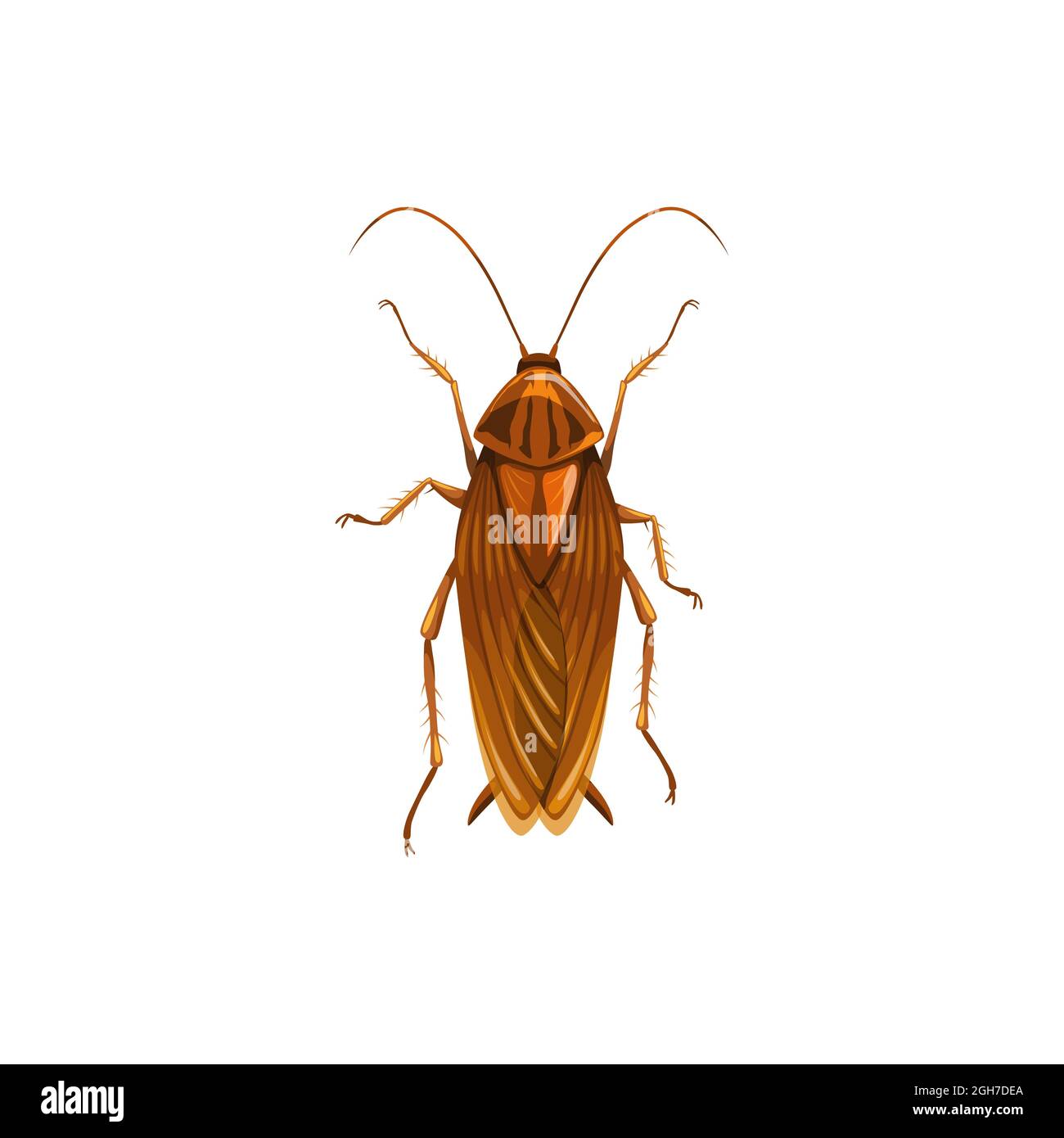 Cockroach icon, insect parasite and pest control, domestic disinsection ...