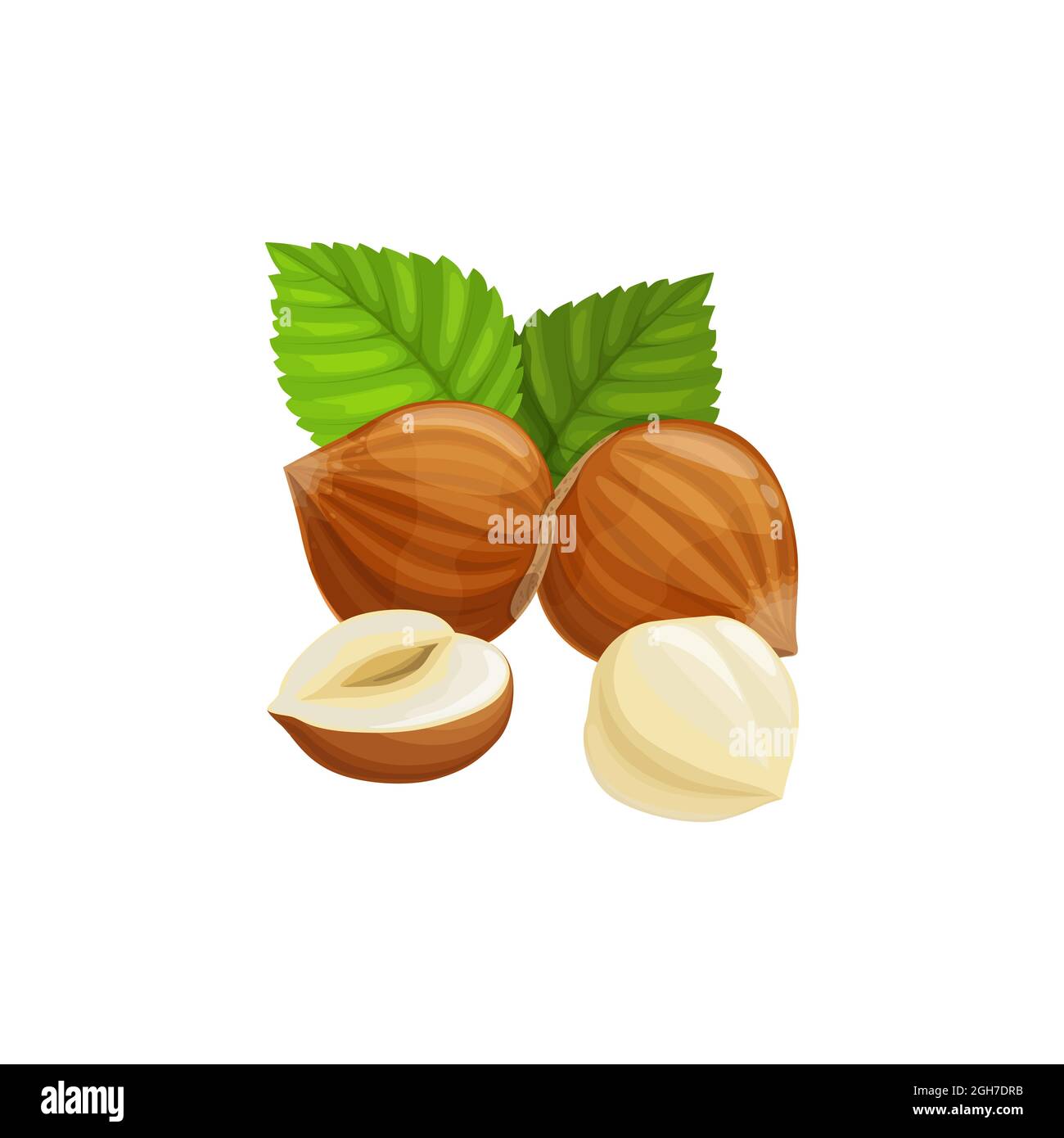 Hazelnut in hard shell with green leaves isolated cartoon superfood ...
