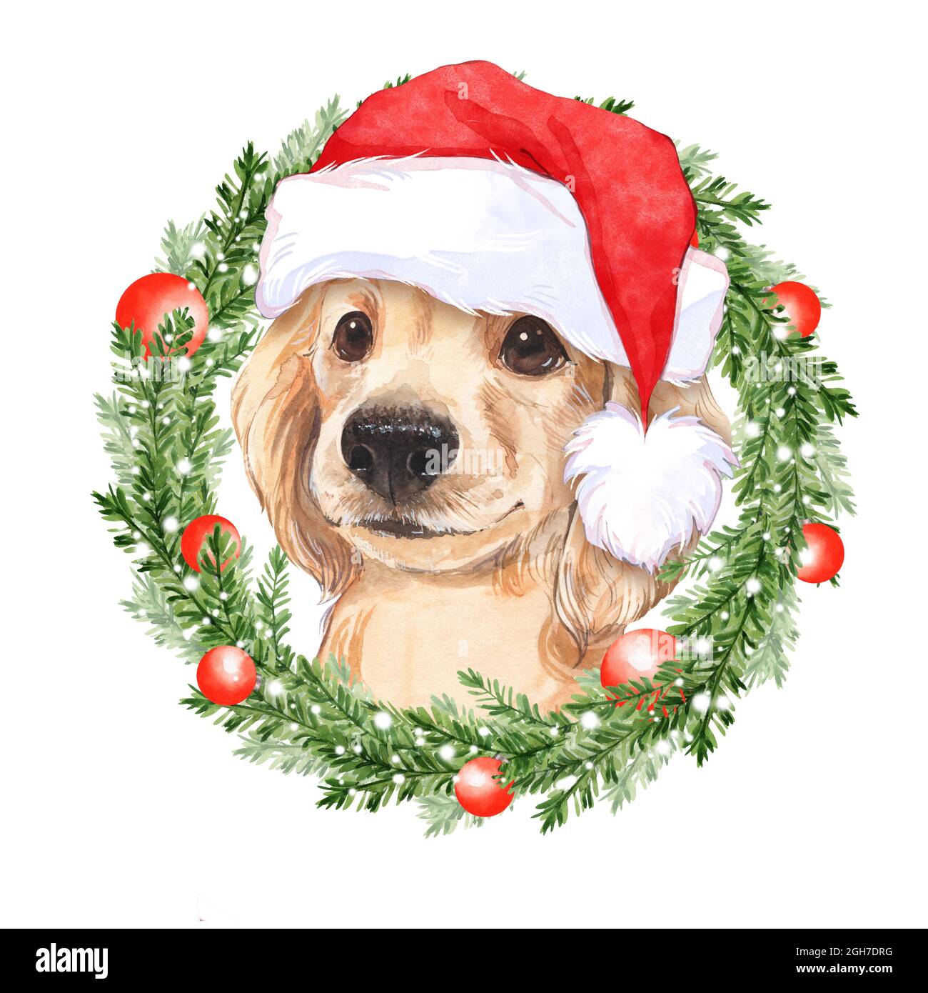 Animal watercolor prints hi-res stock photography and images - Alamy