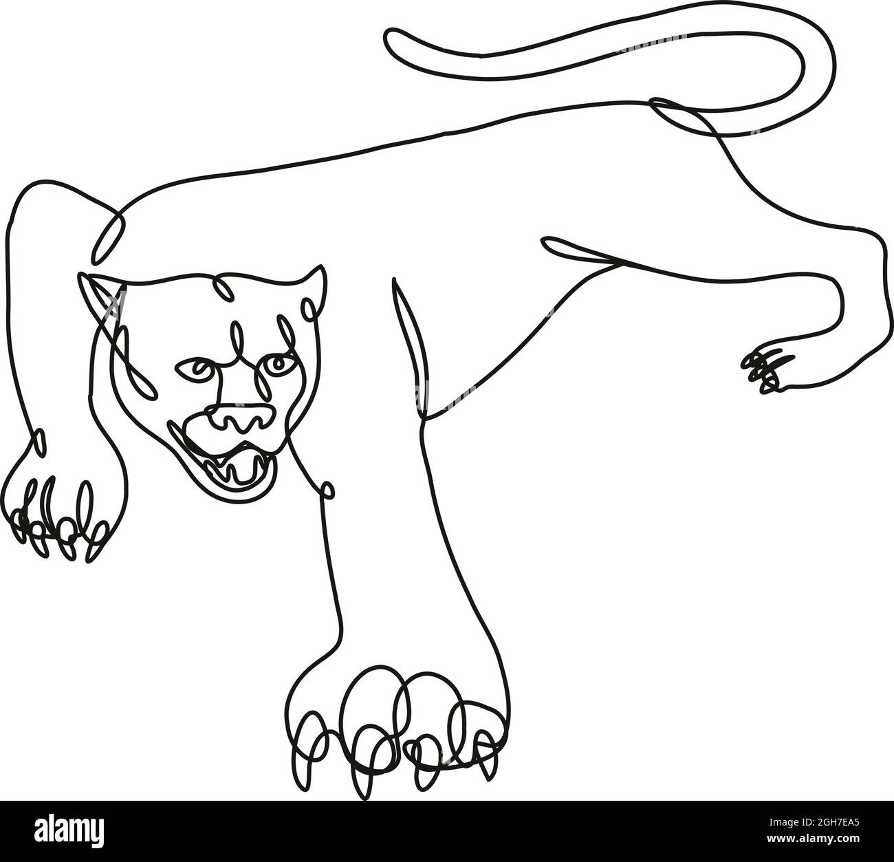 Continuous line drawing illustration of a Panther Crouching viewed from ...