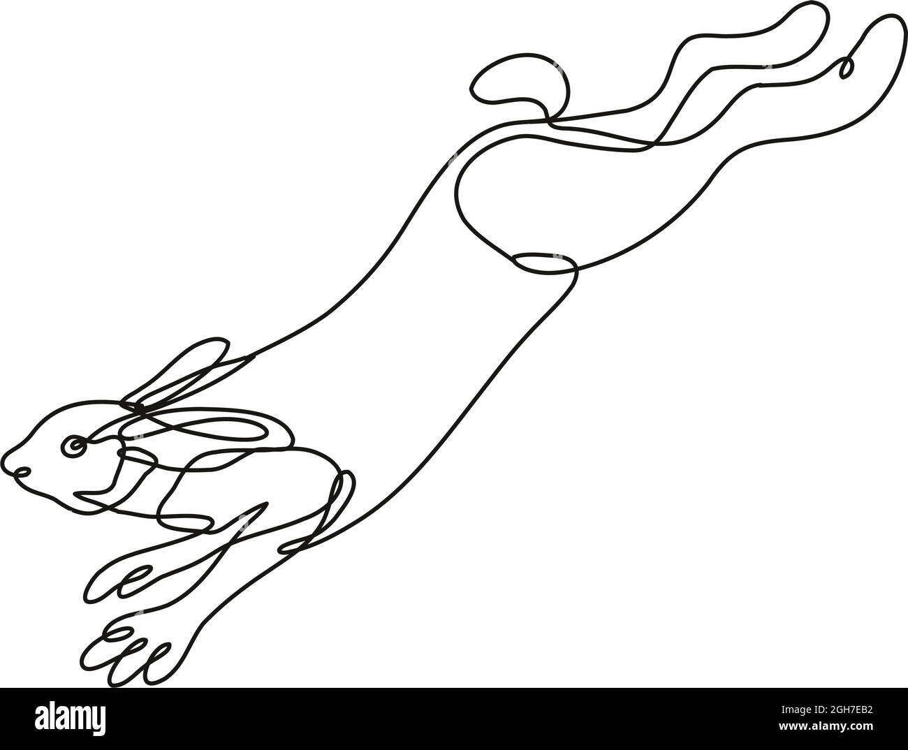 Snowshoe Hare Drawing Snowshoe Hare Giclee Print, Rabbit PRINT,