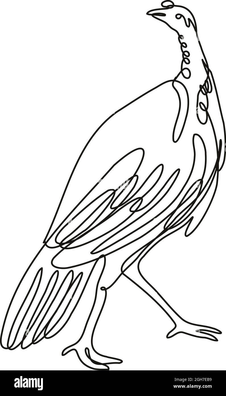 Continuous line drawing illustration of a done in mono line or doodle ...