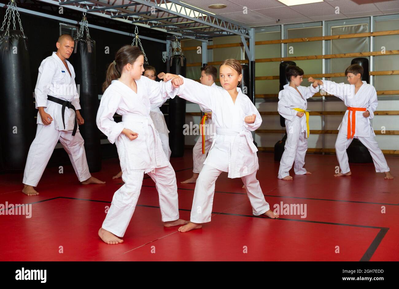 Kids sparring during karate training Stock Photo - Alamy