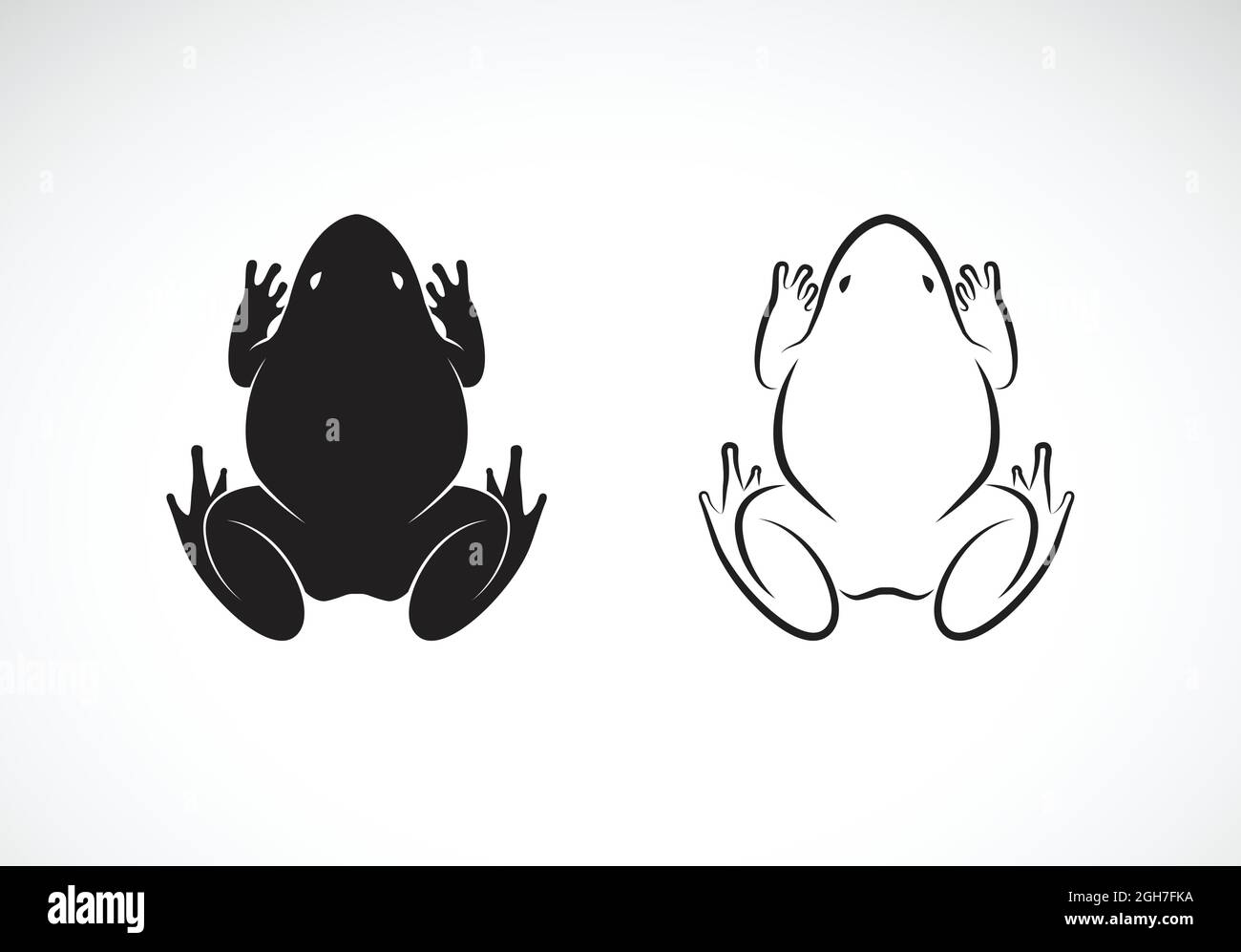Vector of frogs design on white background. Amphibian. Animal. Easy ...