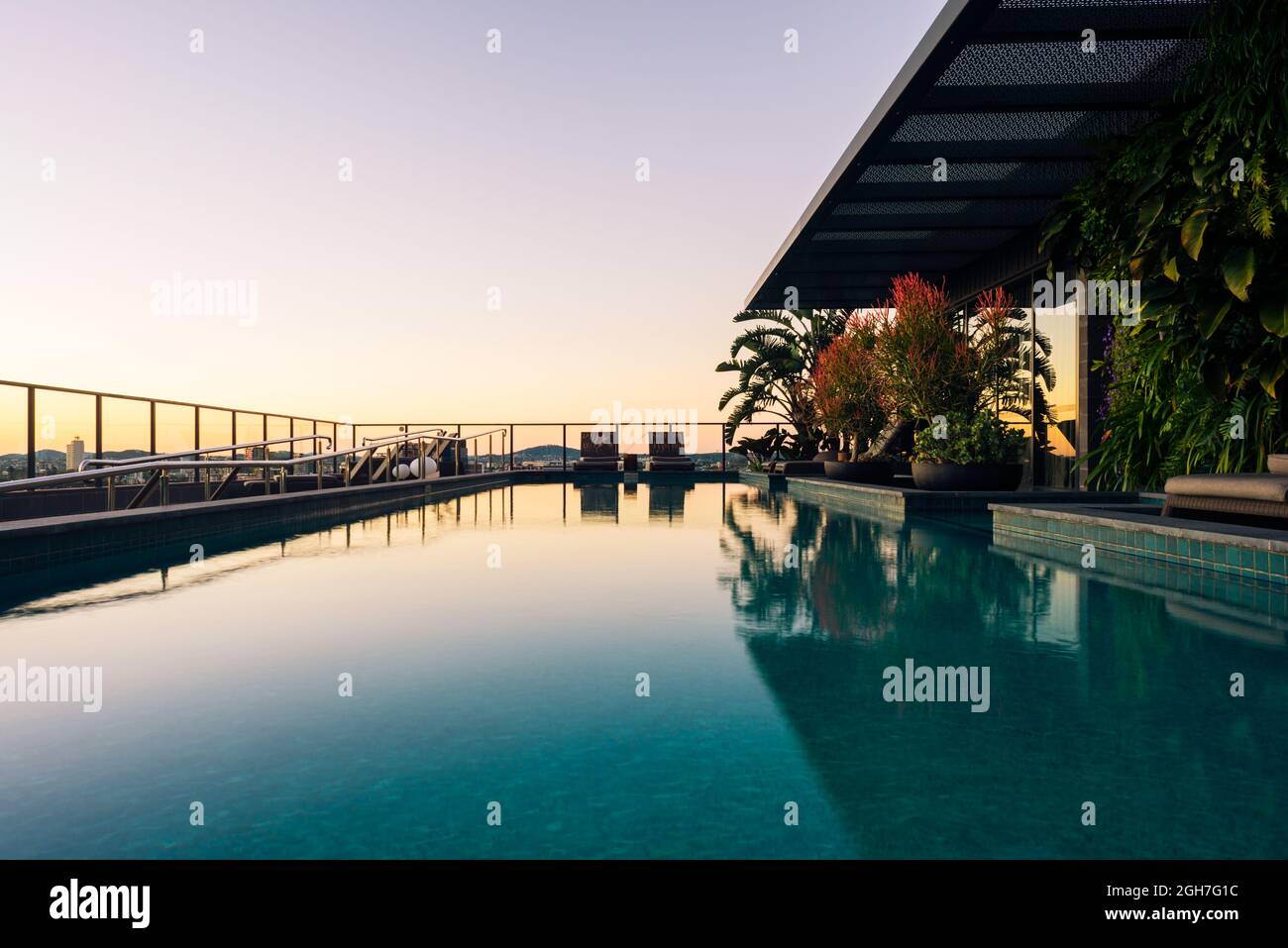plants around a roof top swimming pool Stock Photo - Alamy