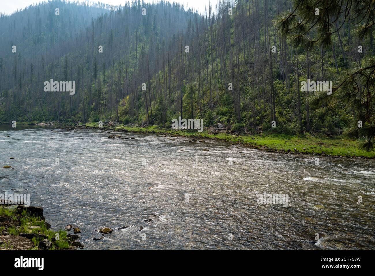 Selway river hi-res stock photography and images - Alamy
