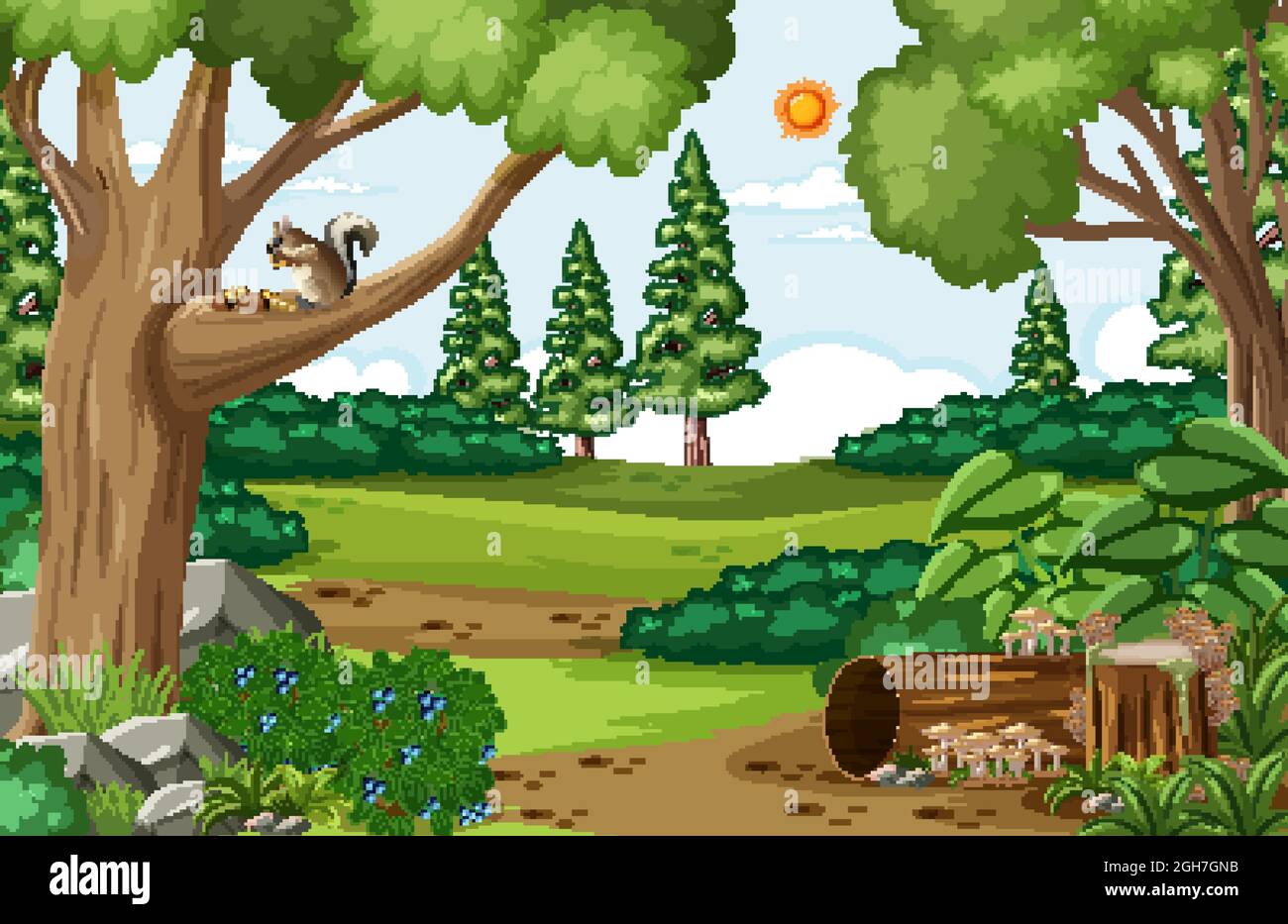 Empty scene with various trees in the forest illustration Stock Vector ...