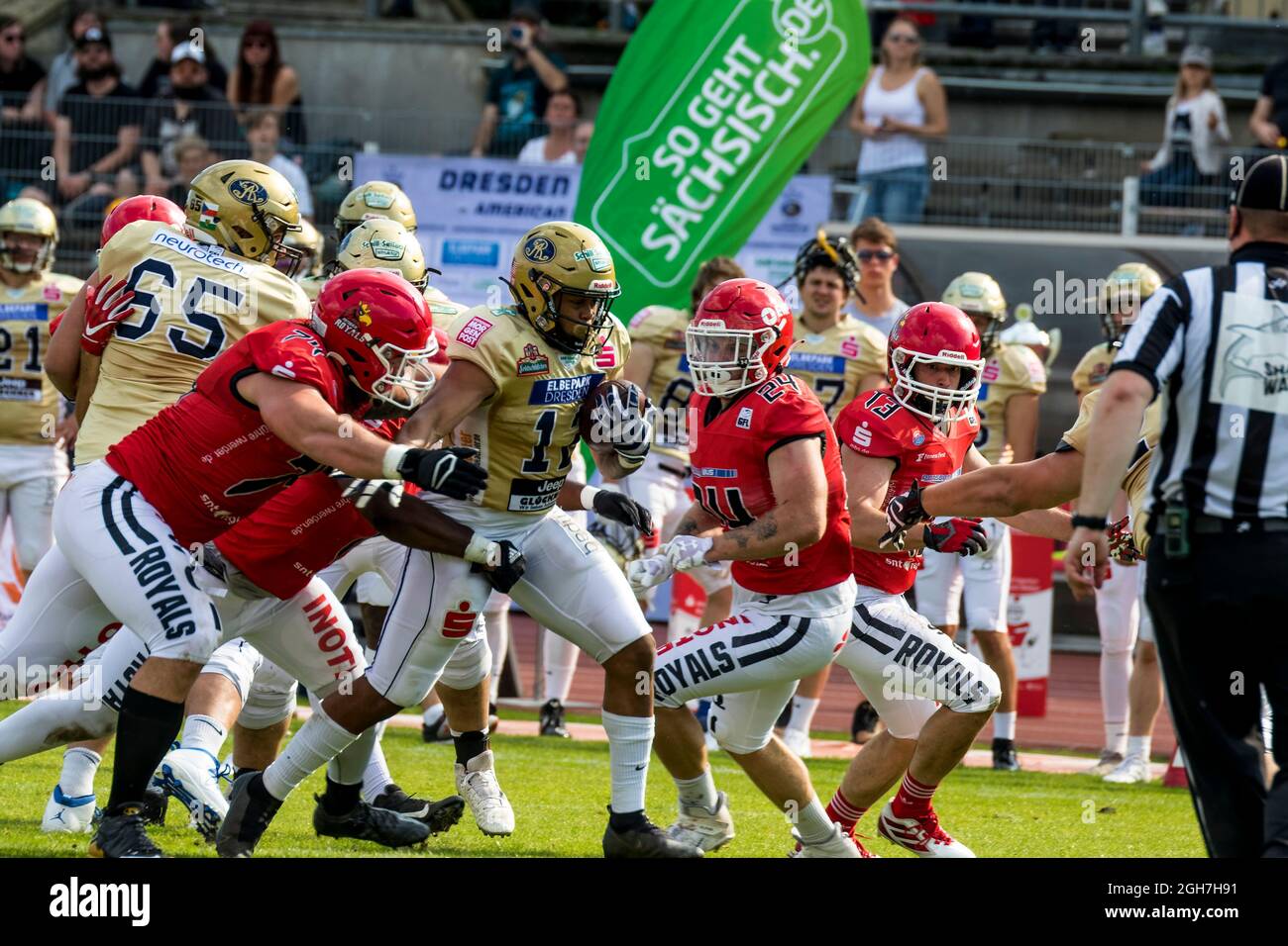 Dresden monarchs hi-res stock photography and images - Alamy