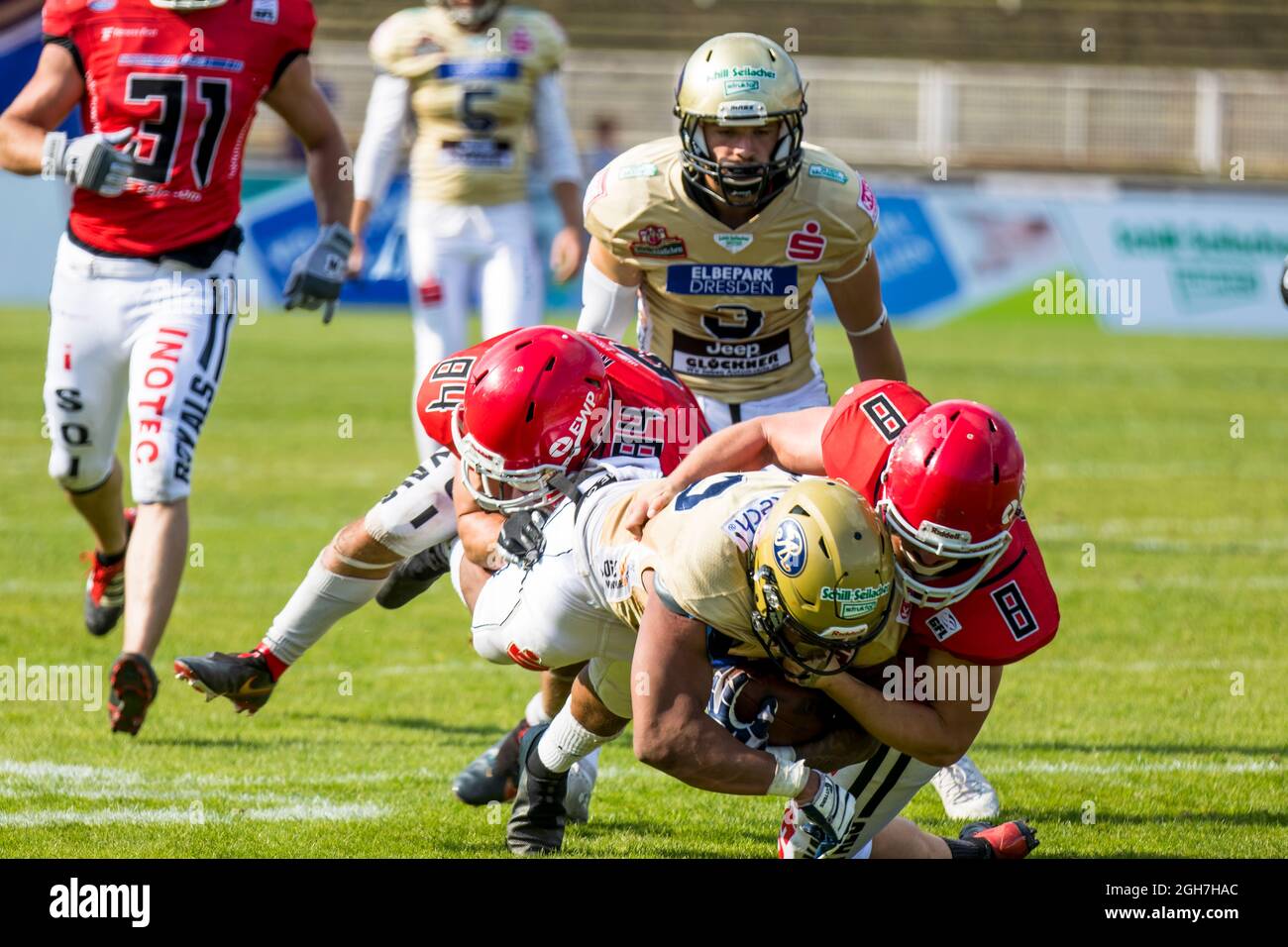 Dresden monarchs hi-res stock photography and images - Alamy