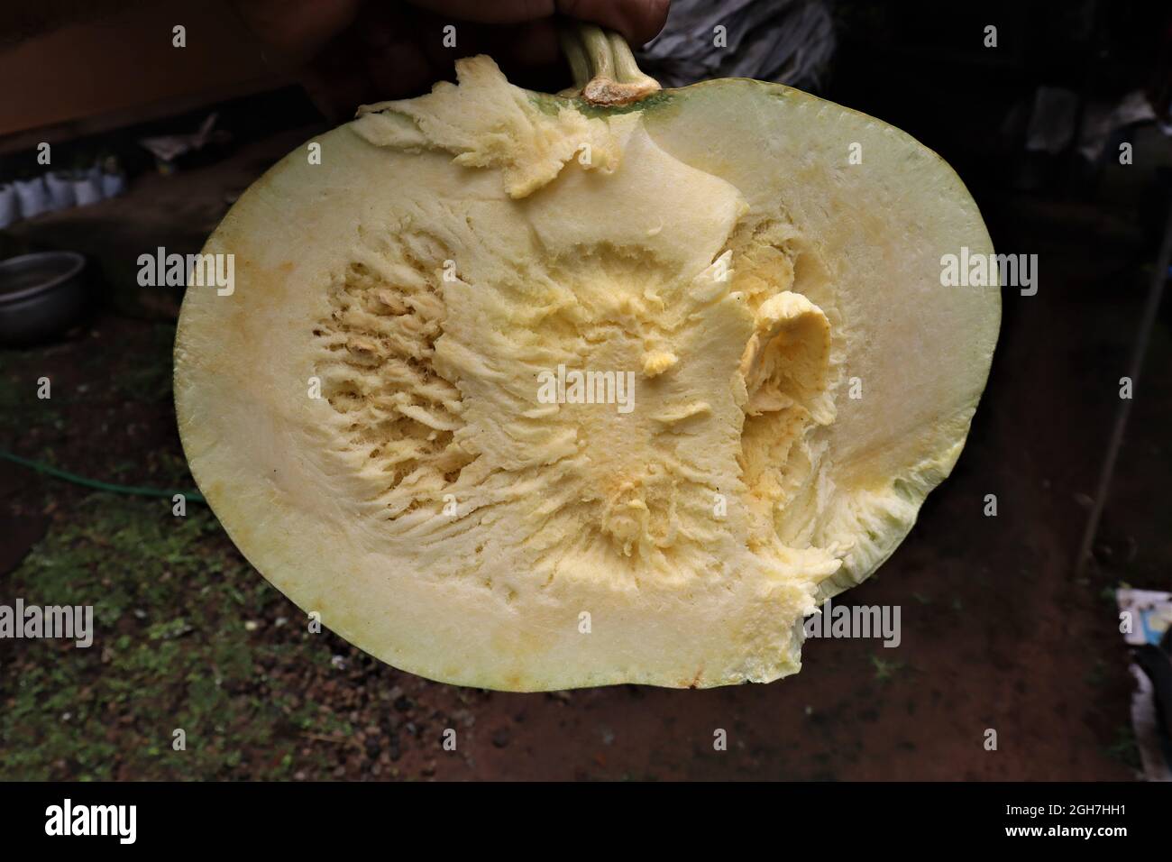 Half pumpkin hi-res stock photography and images - Alamy