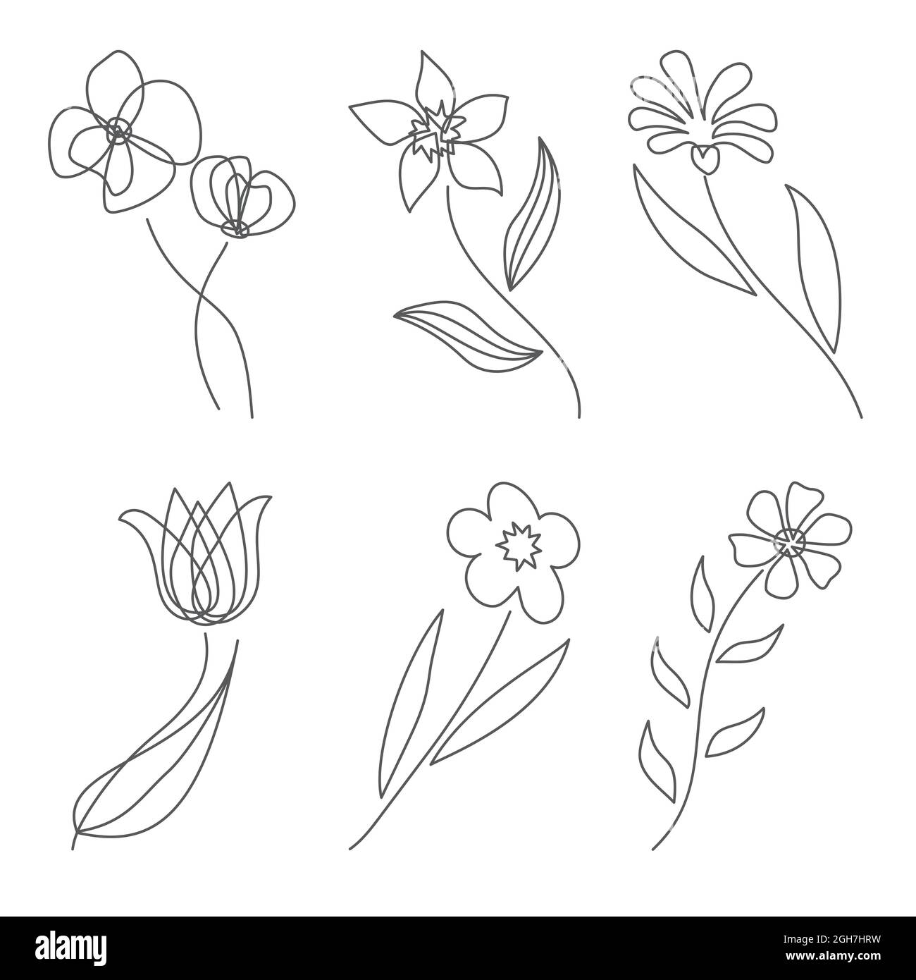 Flowers in line style. Modern line art for poster and banner Stock ...