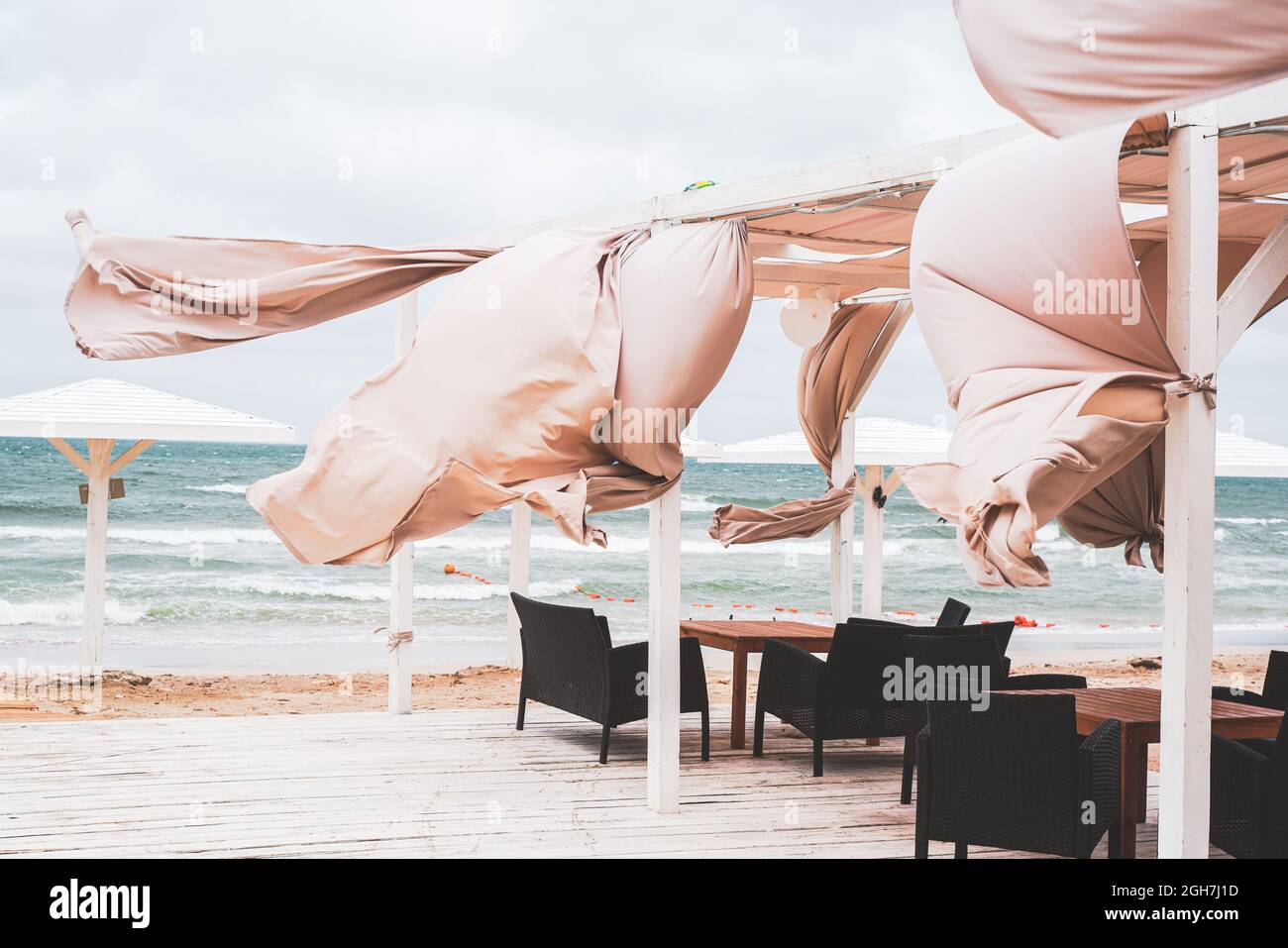 Quality cafe hi-res stock photography and images - Alamy