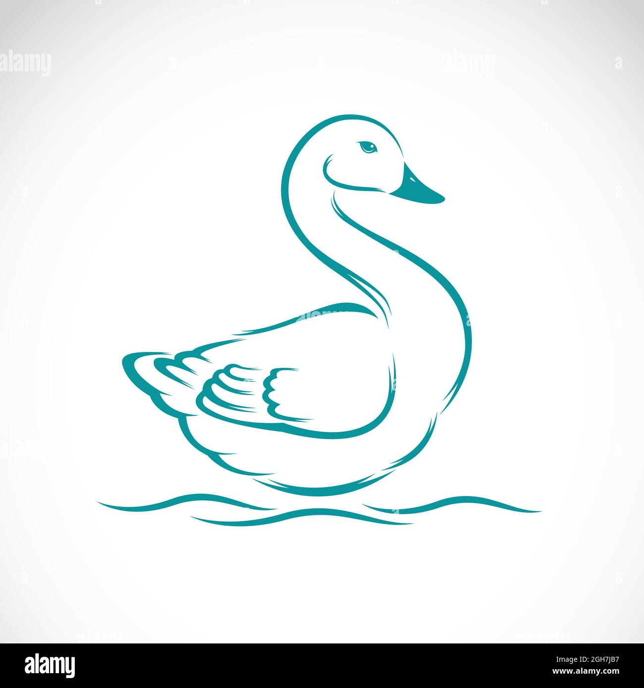 Vector image of swan on a white background. Easy editable layered ...