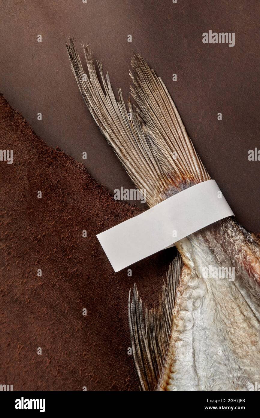 Salted air-dried roach tail with paper label on brown leather ...