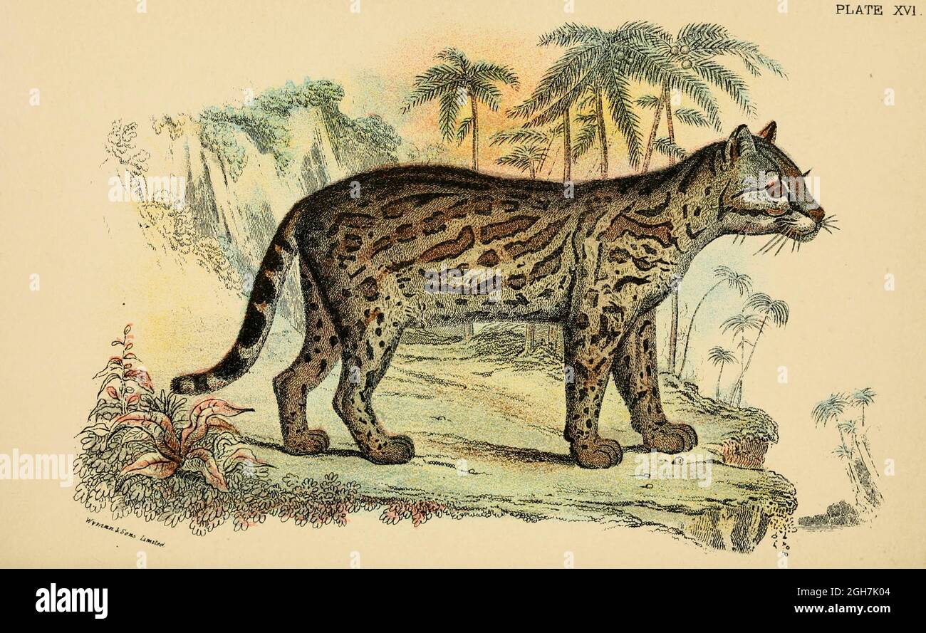 7 1 lb hi-res stock photography and images - Alamy