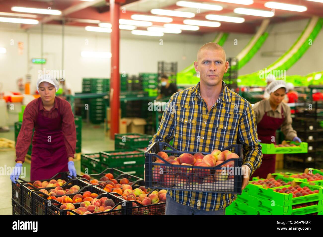 Female and male workers packaging peaches Stock Photo - Alamy
