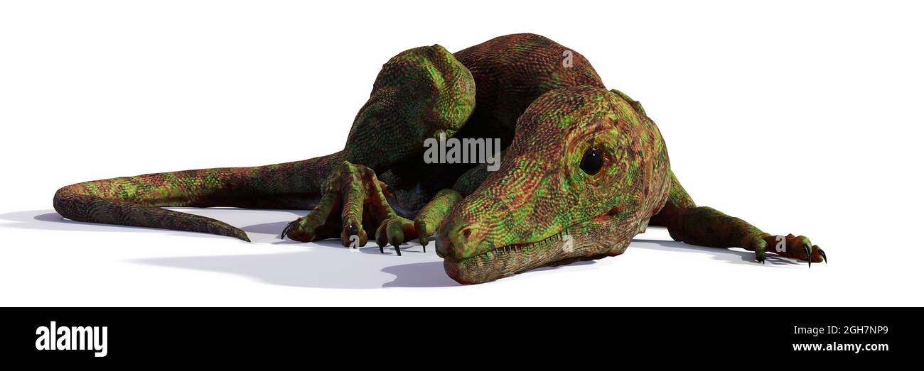 Compsognathus longipes resting, small dinosaur from the Late Jurassic ...