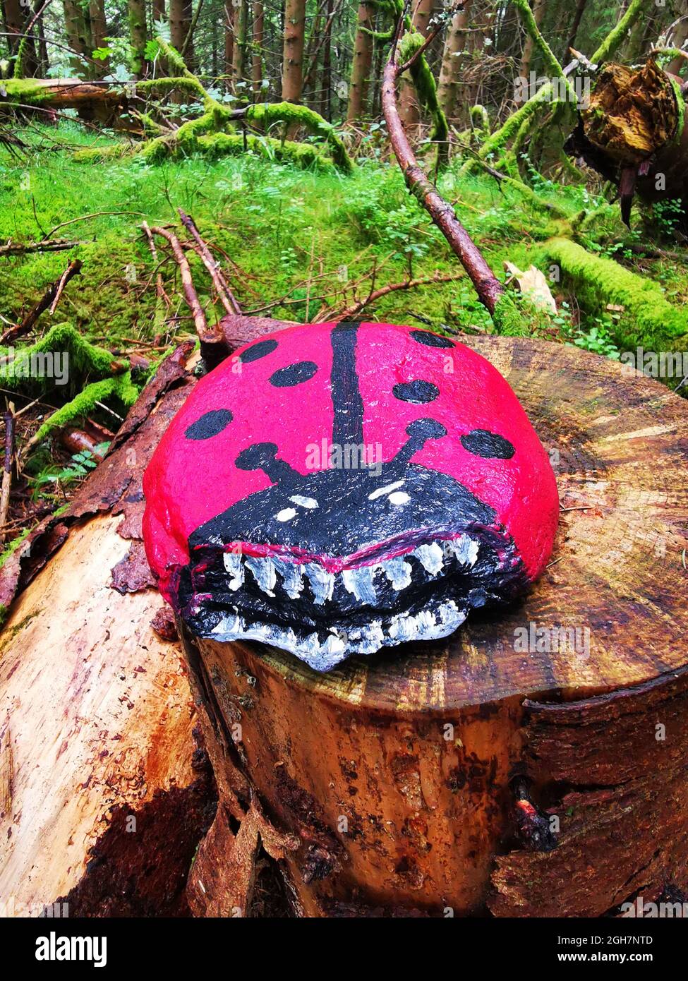 Vertical shot of a decorative ladybug with an angry face Stock Photo ...