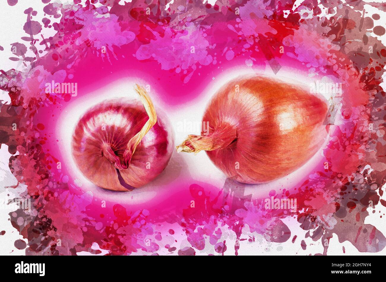 Italian Onion Ramata di Milano. Two Ripe root vegetables in the Stock ...