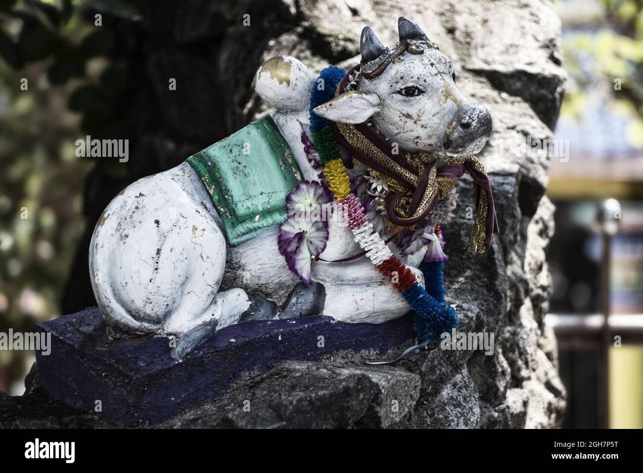 Closeup shot of an ancient Hindu cow statue on Pathirakali Amman Temple ...