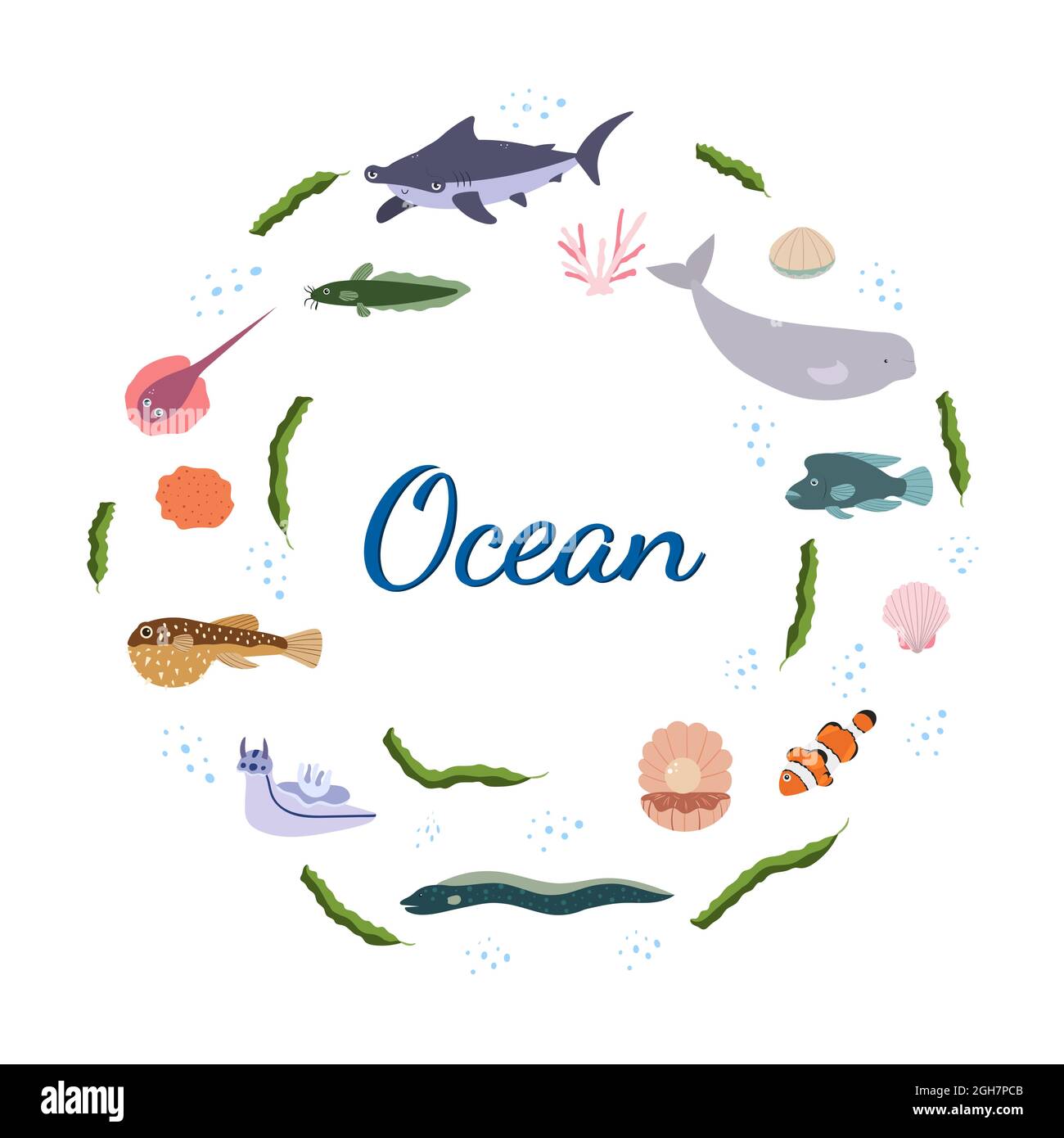 Ocean Animal Life