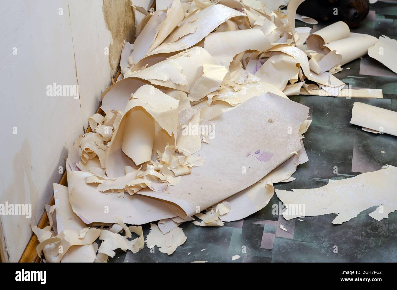 Torn pieces of paper wallpaper. Random pieces of wallpaper remov Stock ...