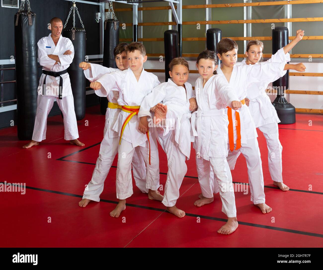 Karate Kids High Resolution Stock Photography and Images - Alamy