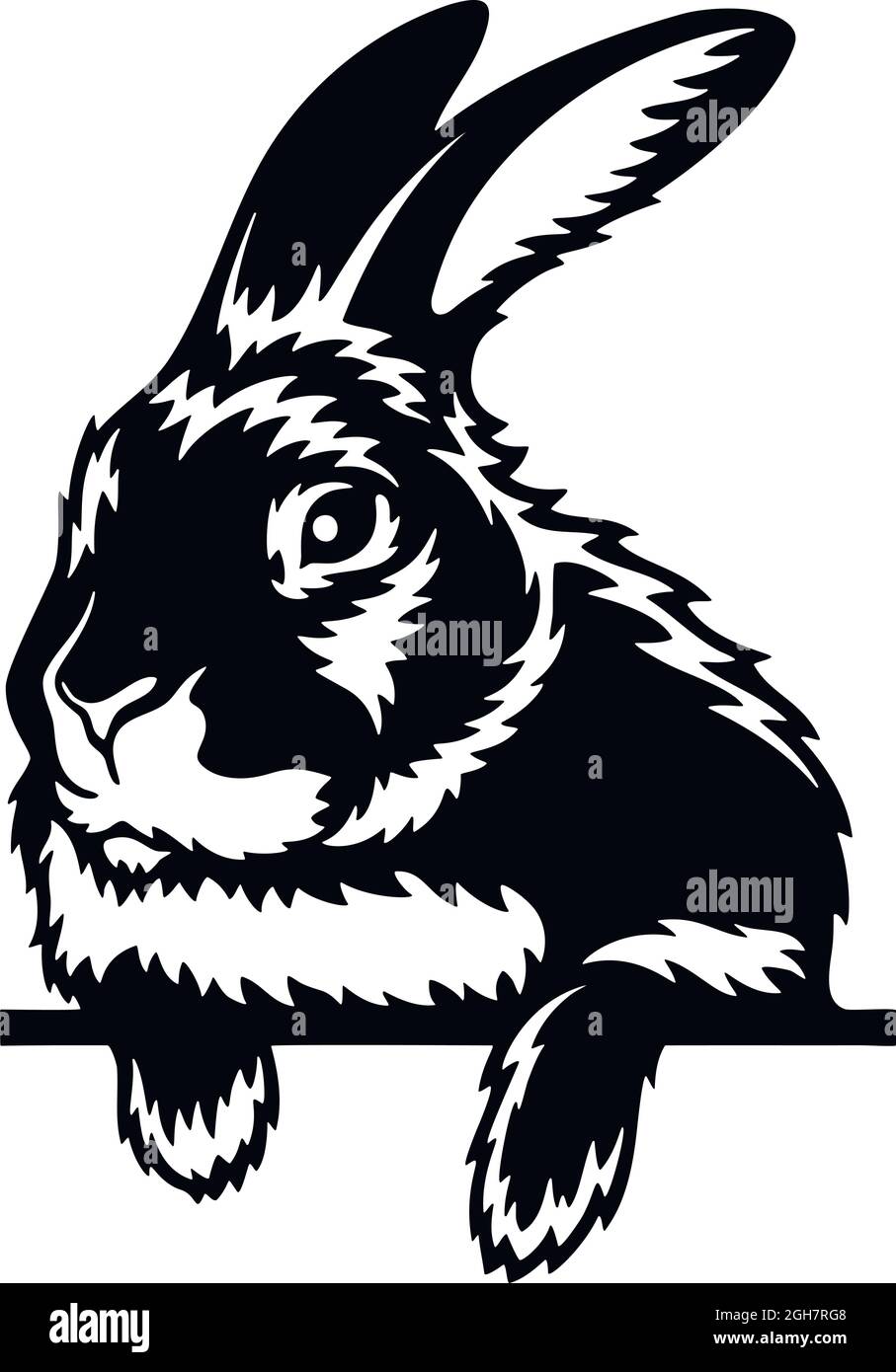 Peeking rabbit - Funny Farm Animals peeking out - face head isolated on ...