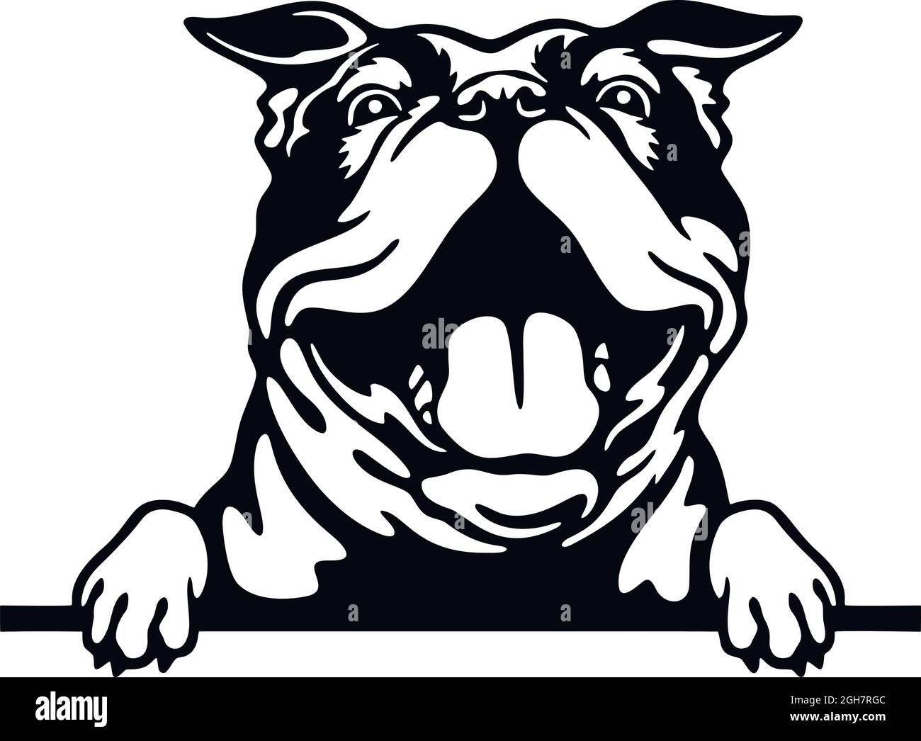 Peeking bulldog - Funny Farm Animals peeking out - face head isolated ...