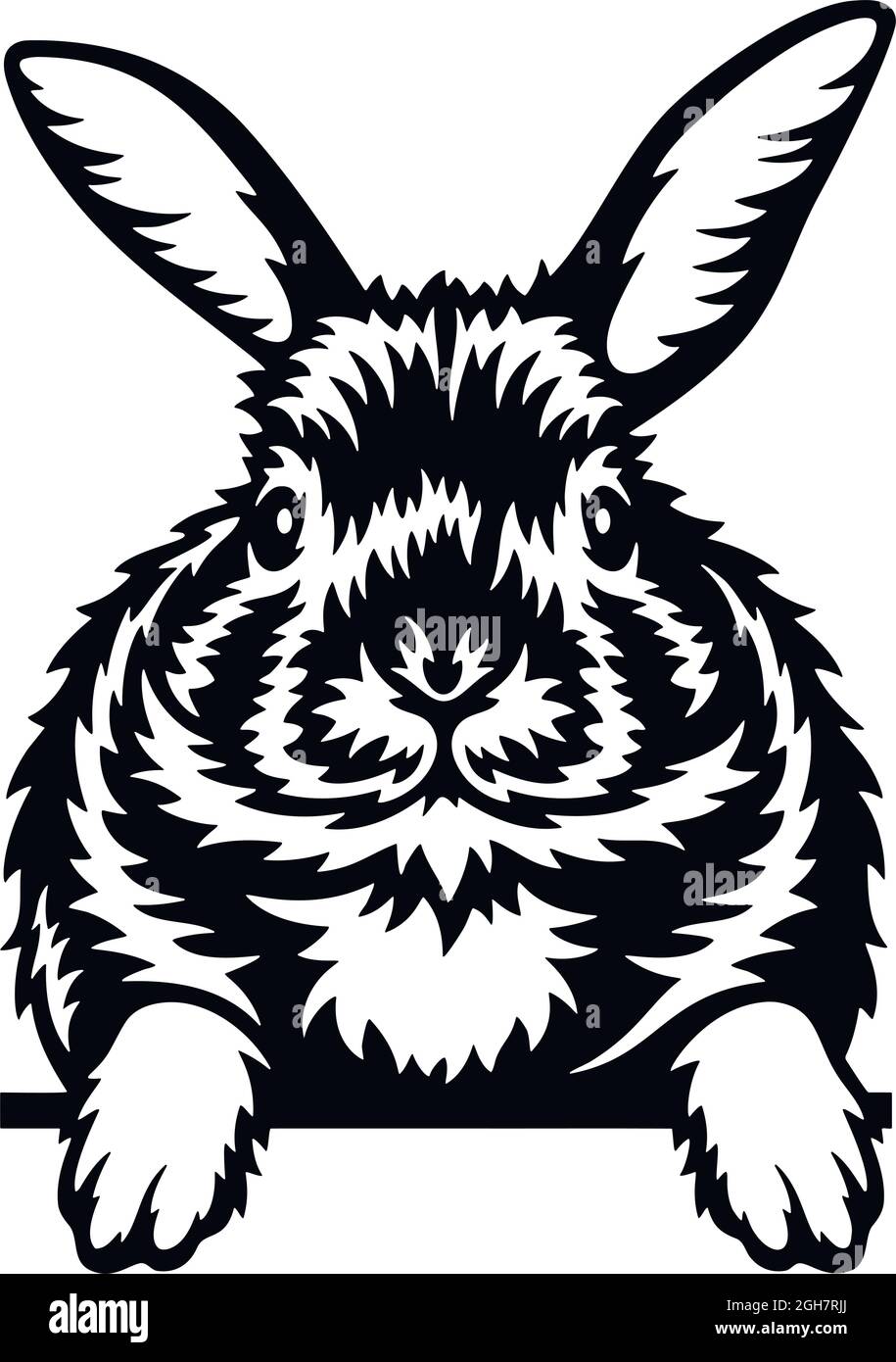 Peeking rabbit - Funny Farm Animals peeking out - face head isolated on ...