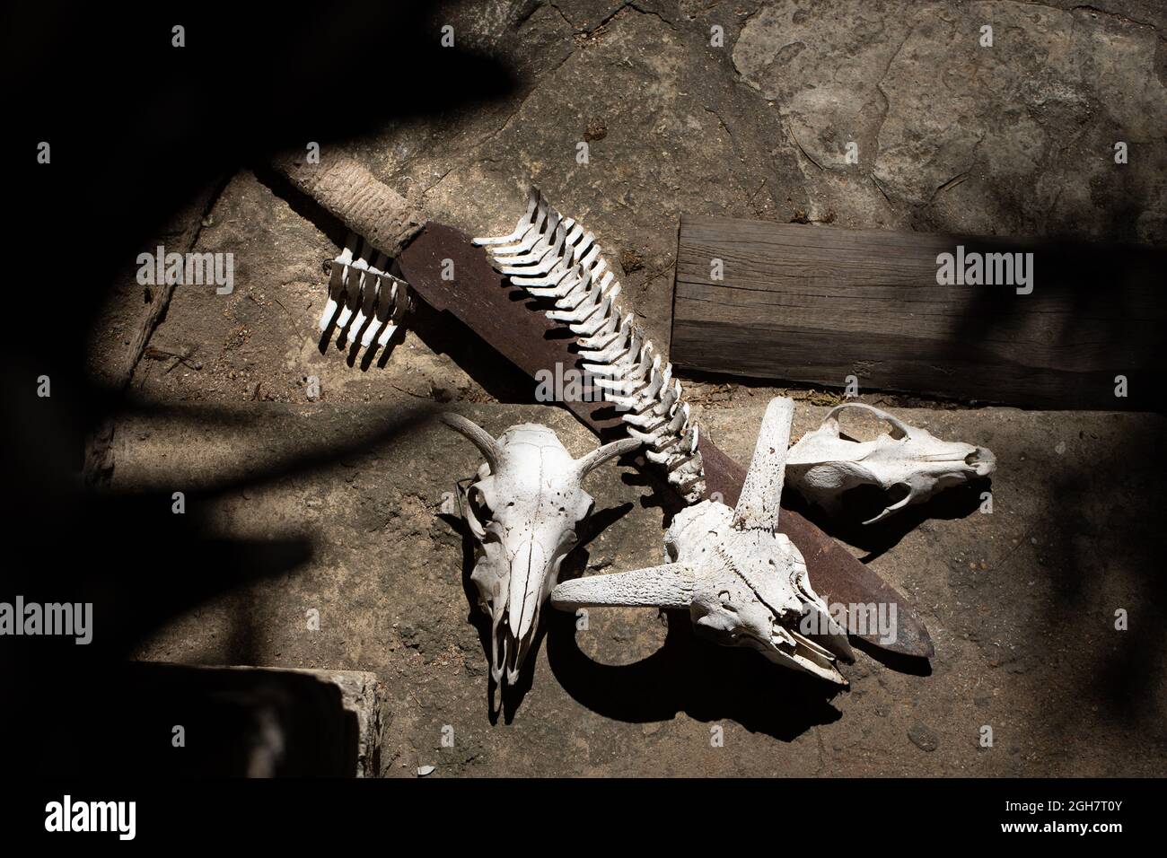 Time defeated hi-res stock photography and images - Alamy