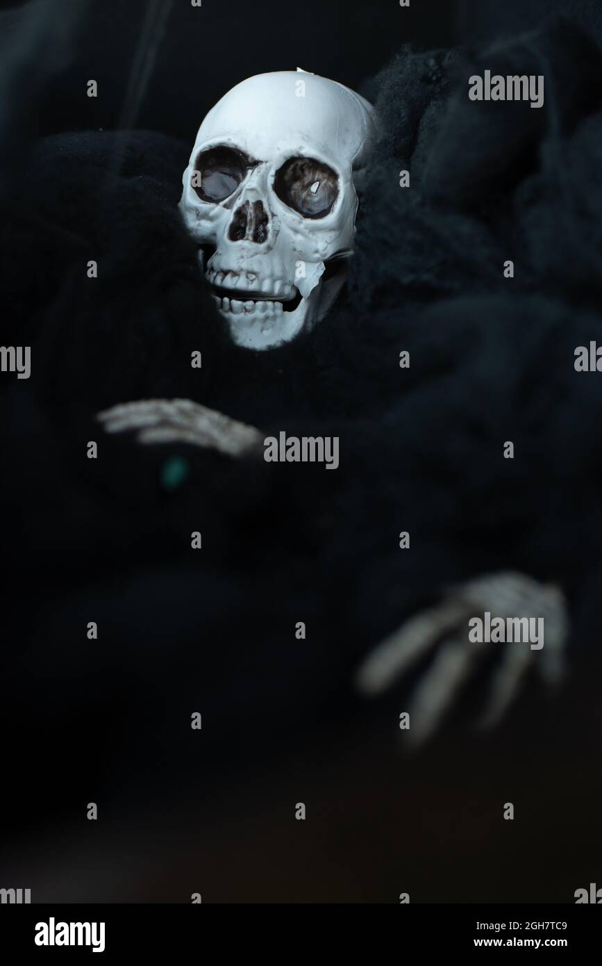 Fake skeleton hi-res stock photography and images - Alamy