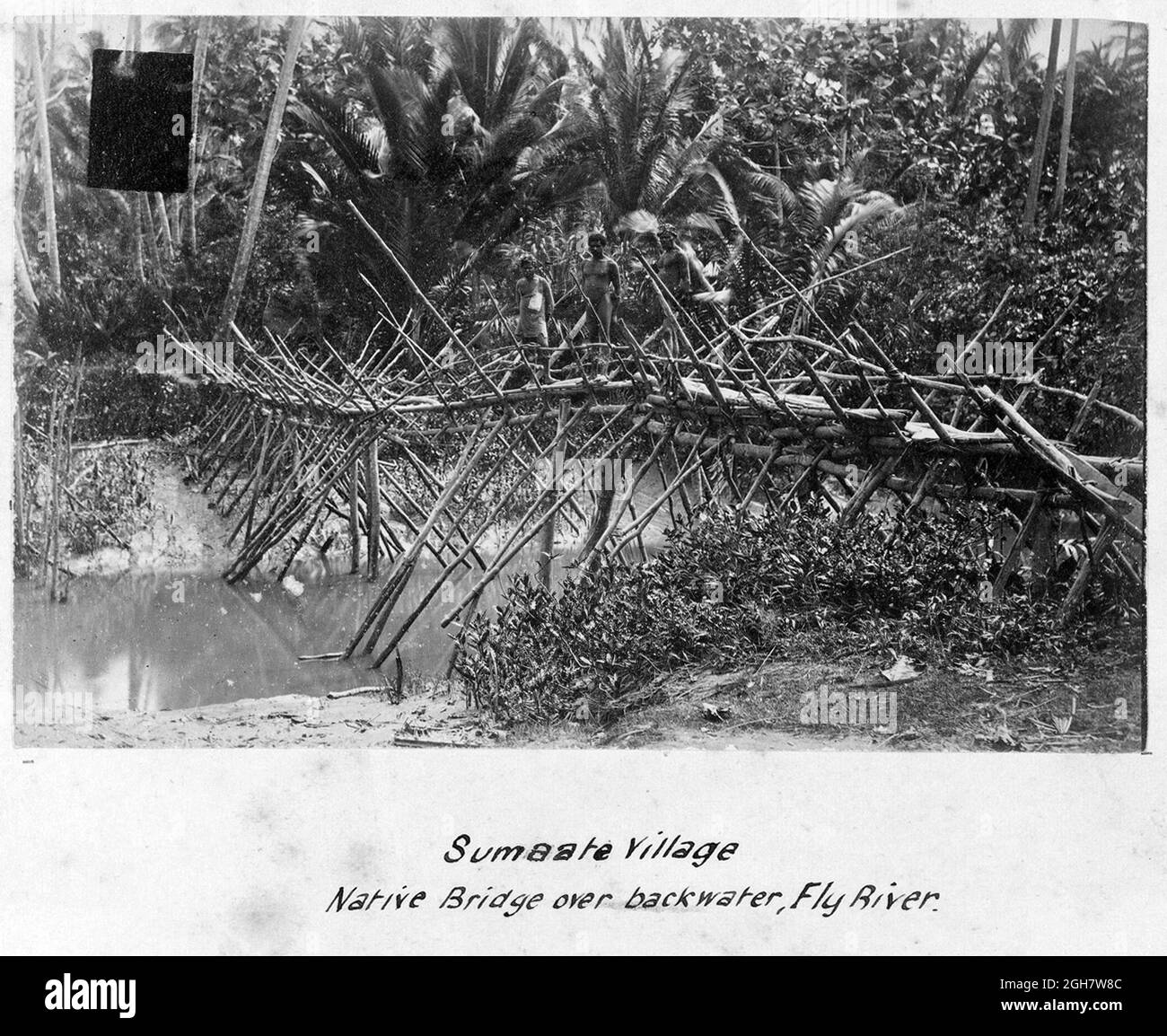 Fly river papua new guinea hi-res stock photography and images - Alamy