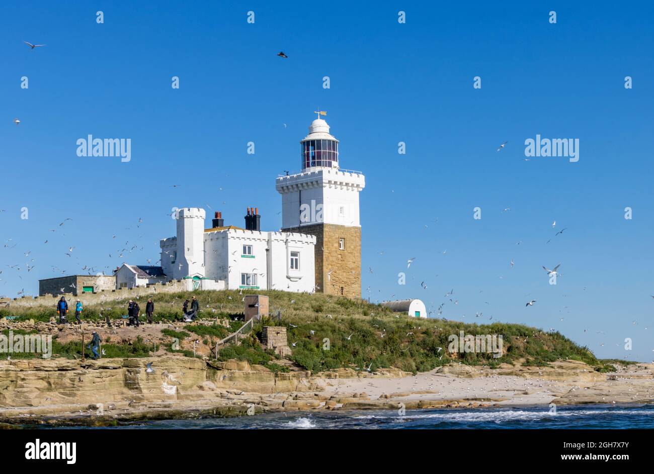 Lighthouse on Coquet Island, an offshore wildlife sanctuary on the ...