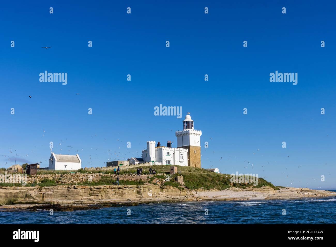 Lighthouse and Keeper's Cottage on Coquet Island, a wildlife sanctuary ...