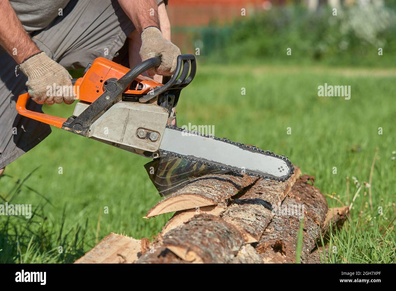 sawing timber with a chainsaw on a sunny day in summer Stock Photo - Alamy